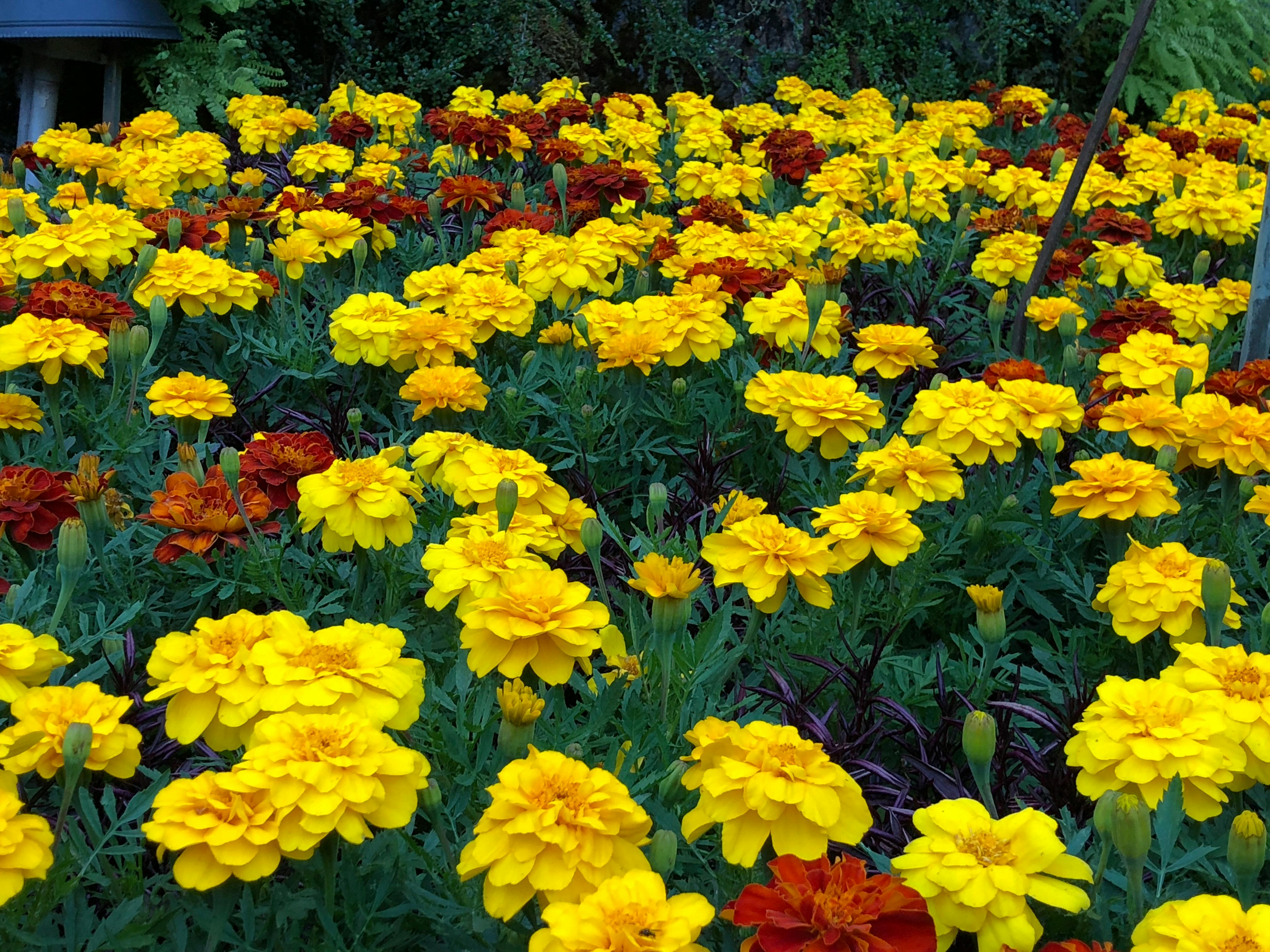 Rich Sanders - Fotografía