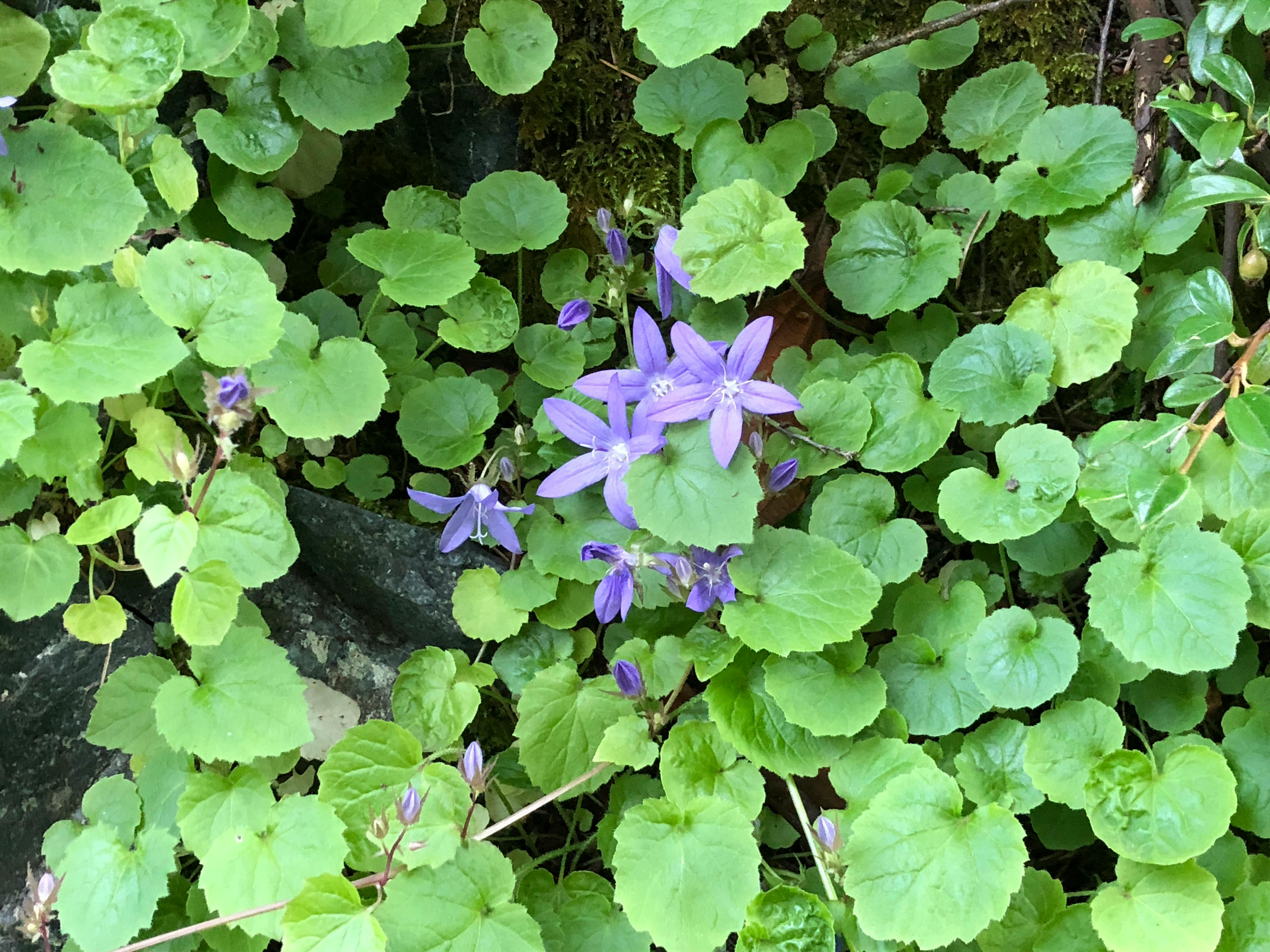 Rich Sanders - Fotografía