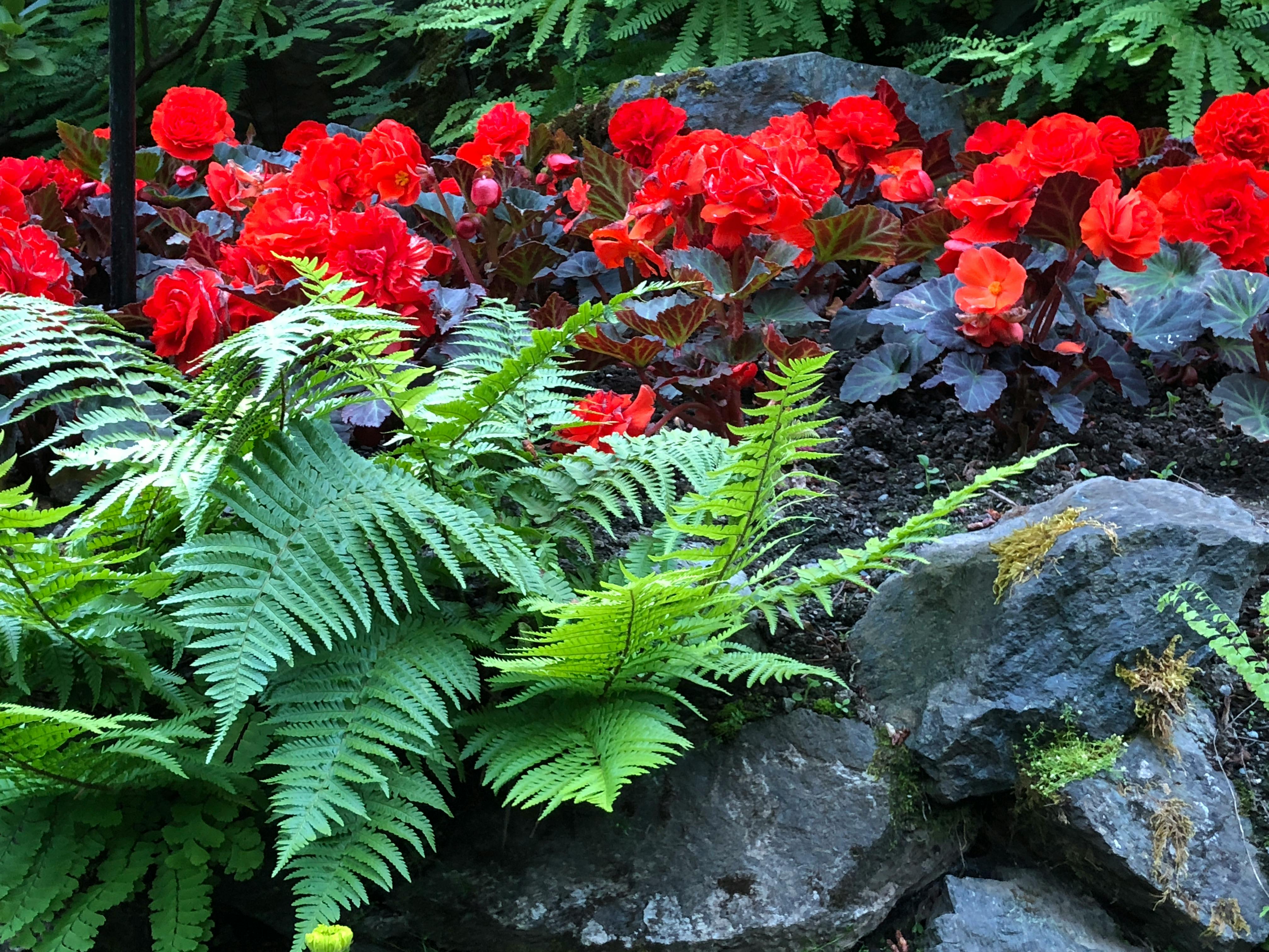 Rich Sanders - Fotografía