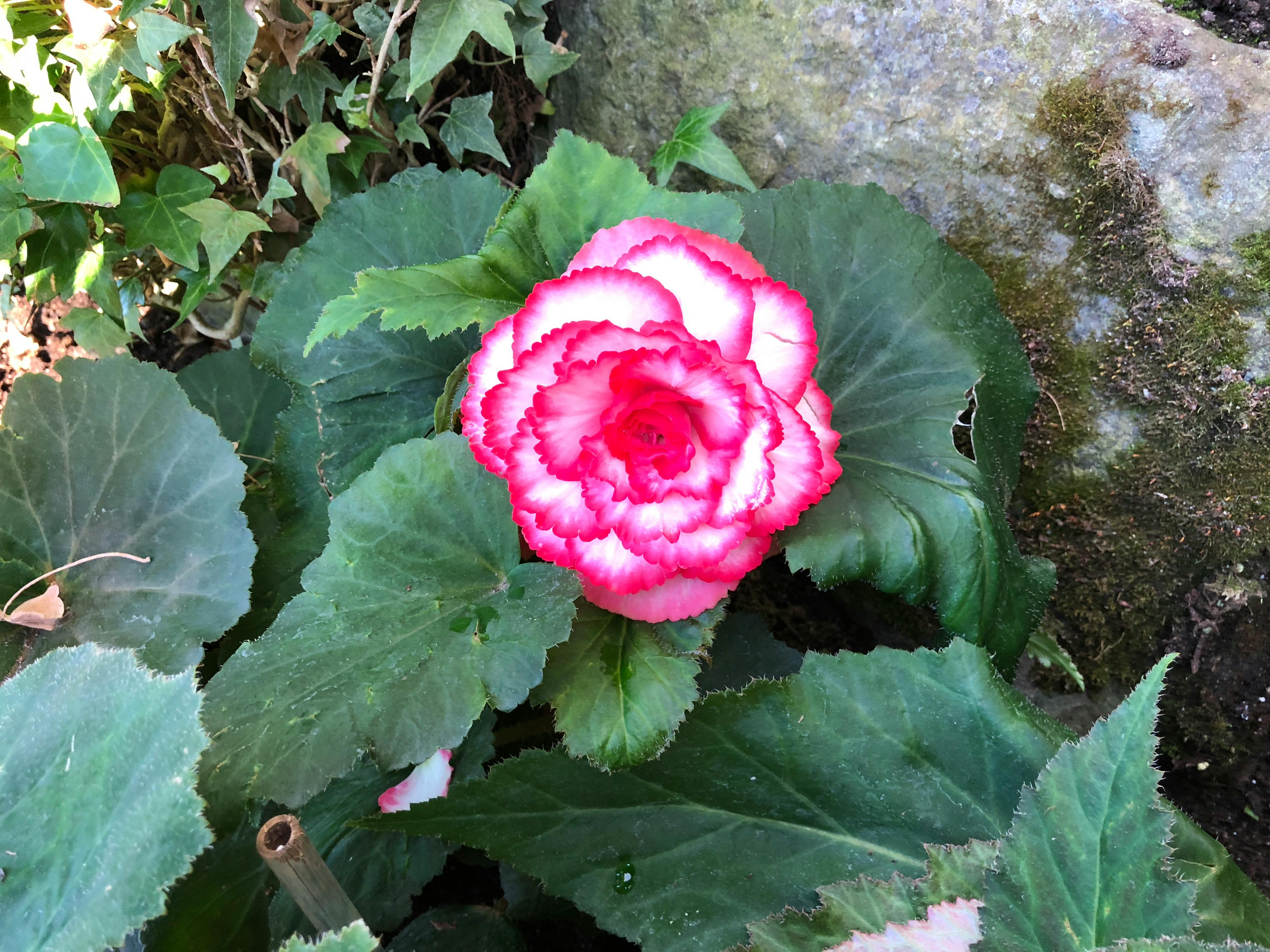 Rich Sanders - Fotografía