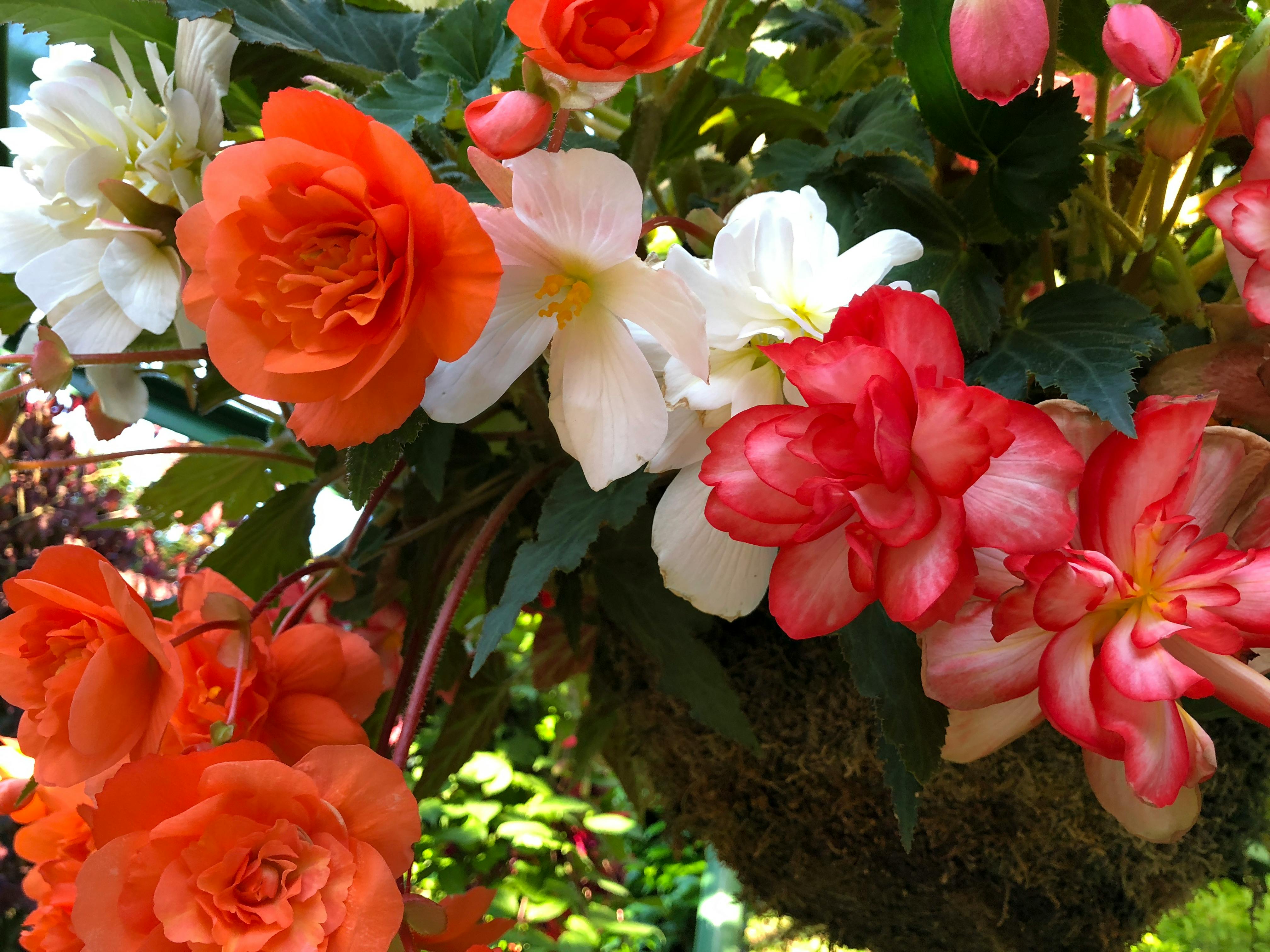 Rich Sanders - Fotografía