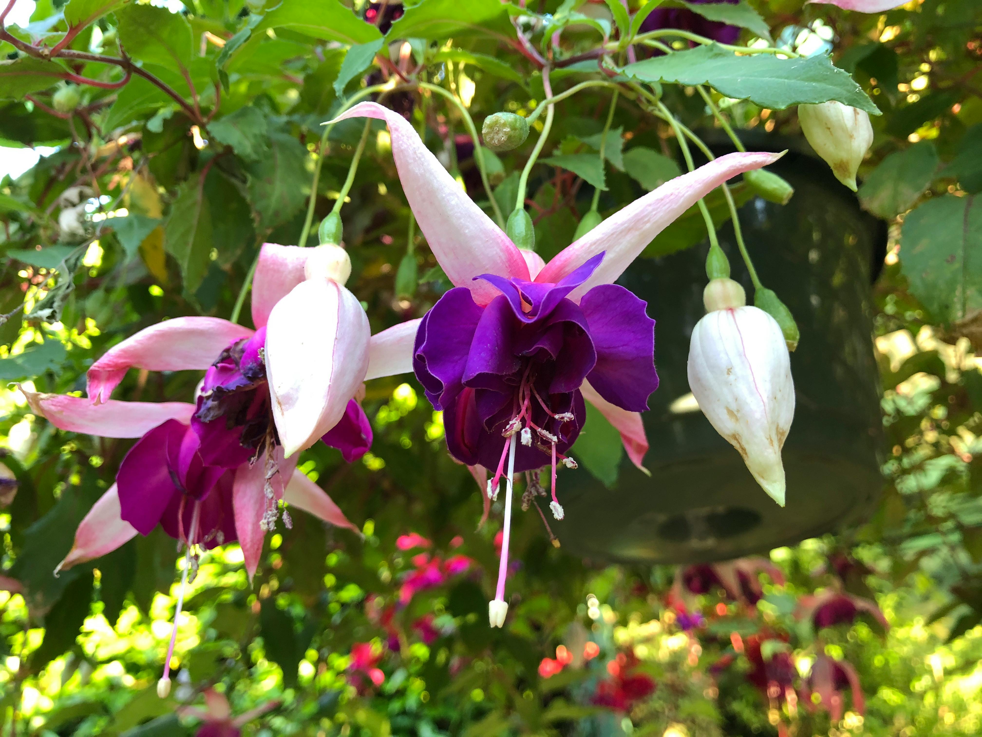 Rich Sanders - Fotografía