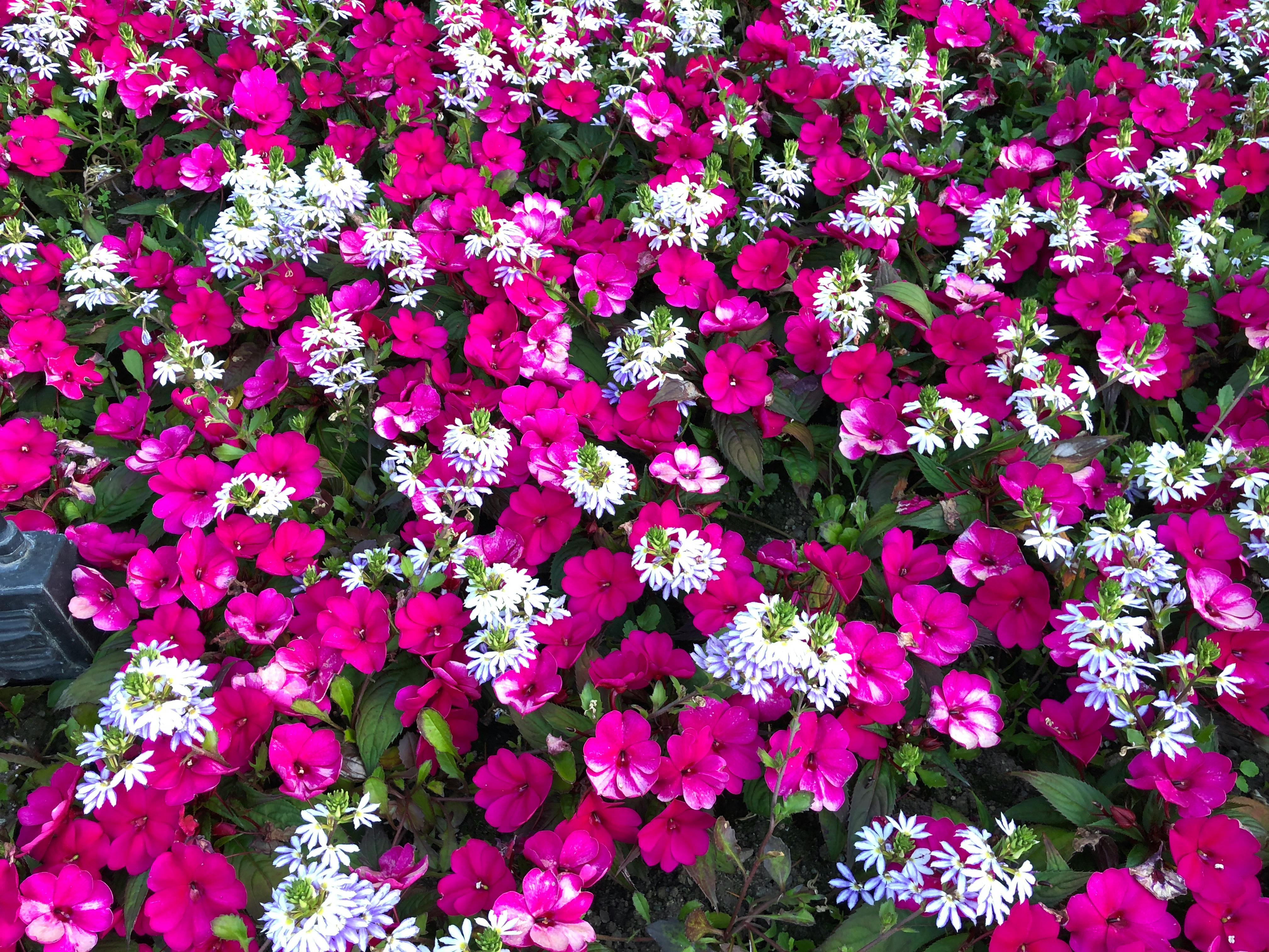 Rich Sanders - Fotografía