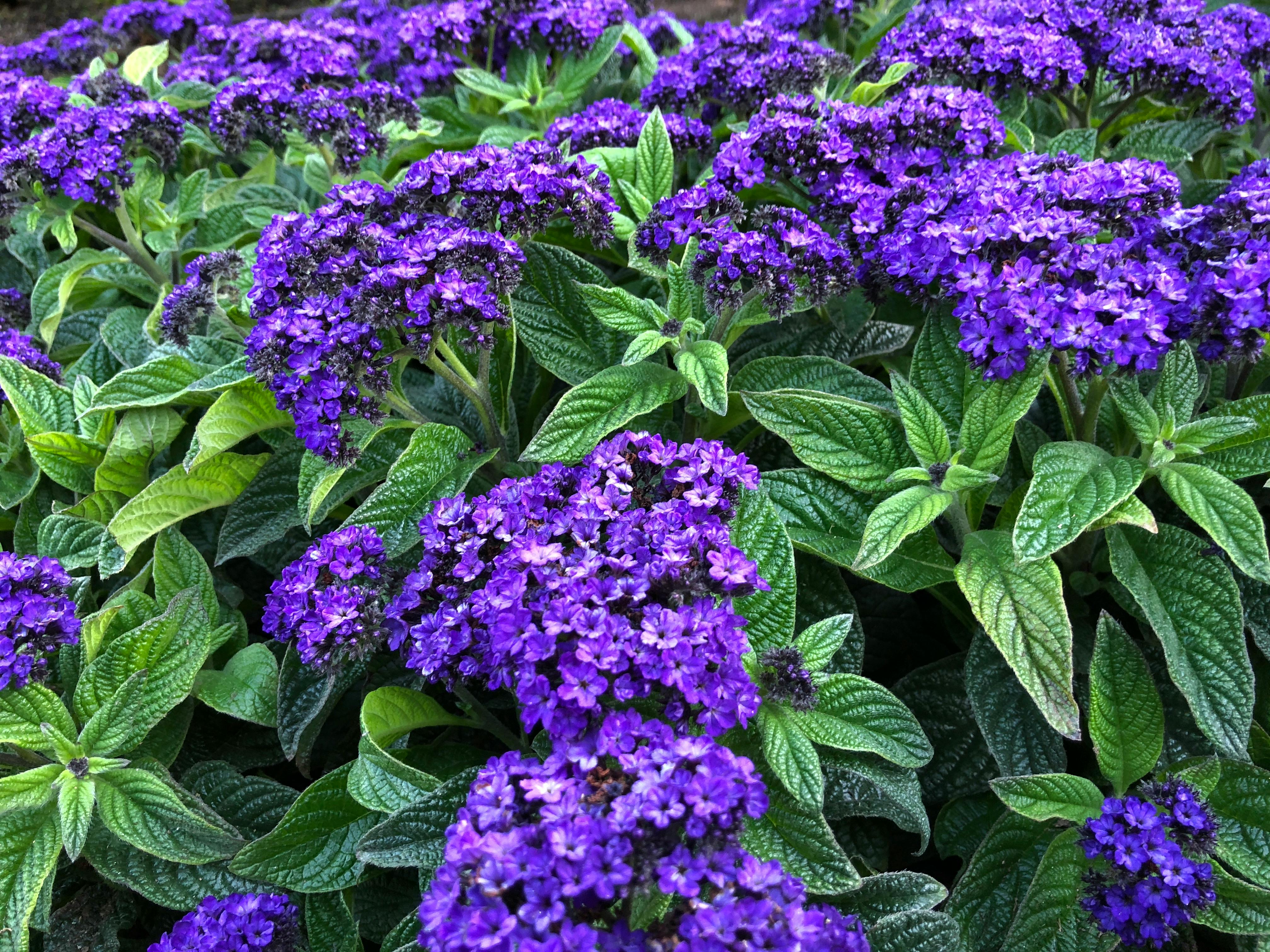 Rich Sanders - Fotografía