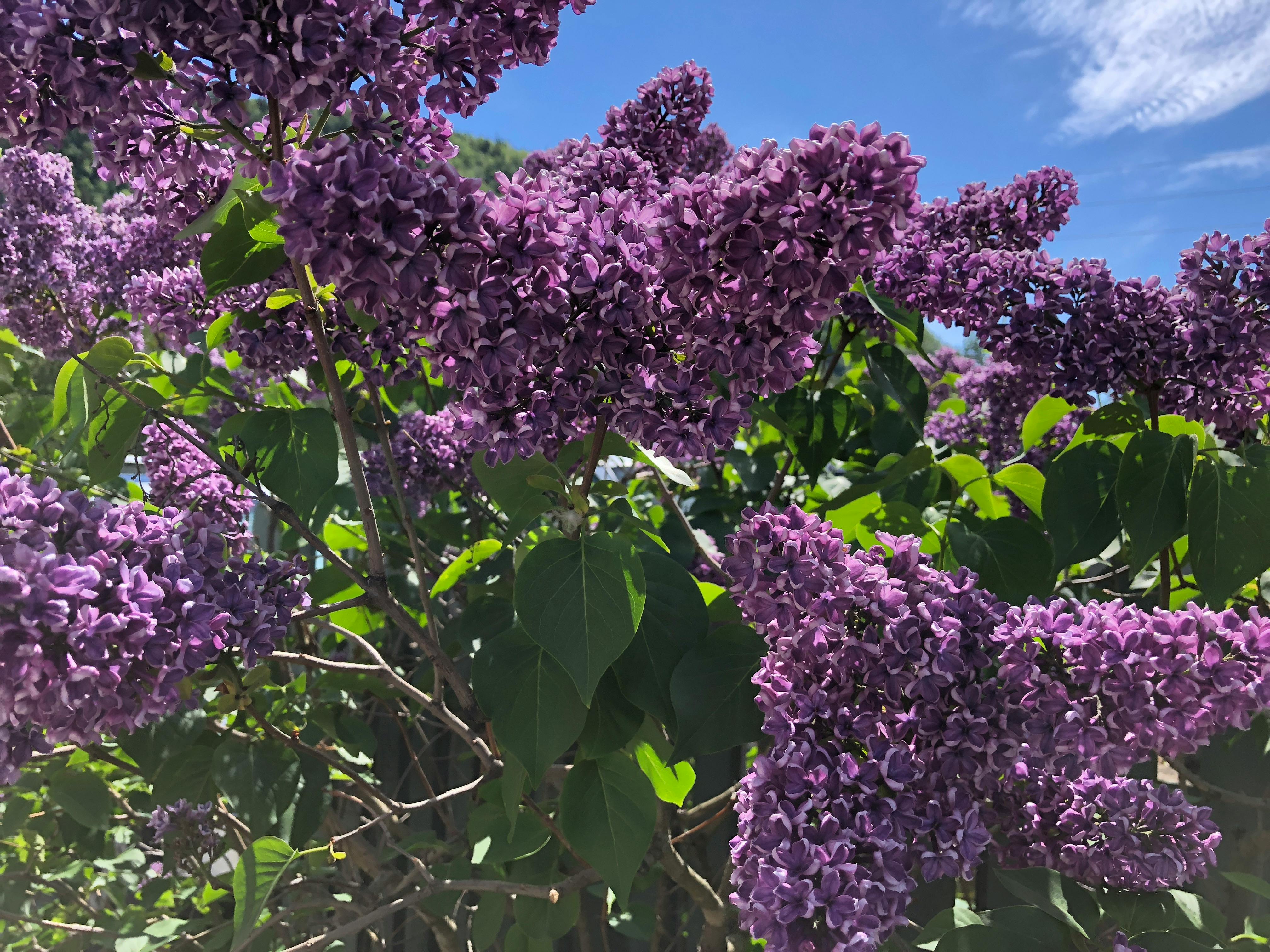 Rich Sanders - Fotografía