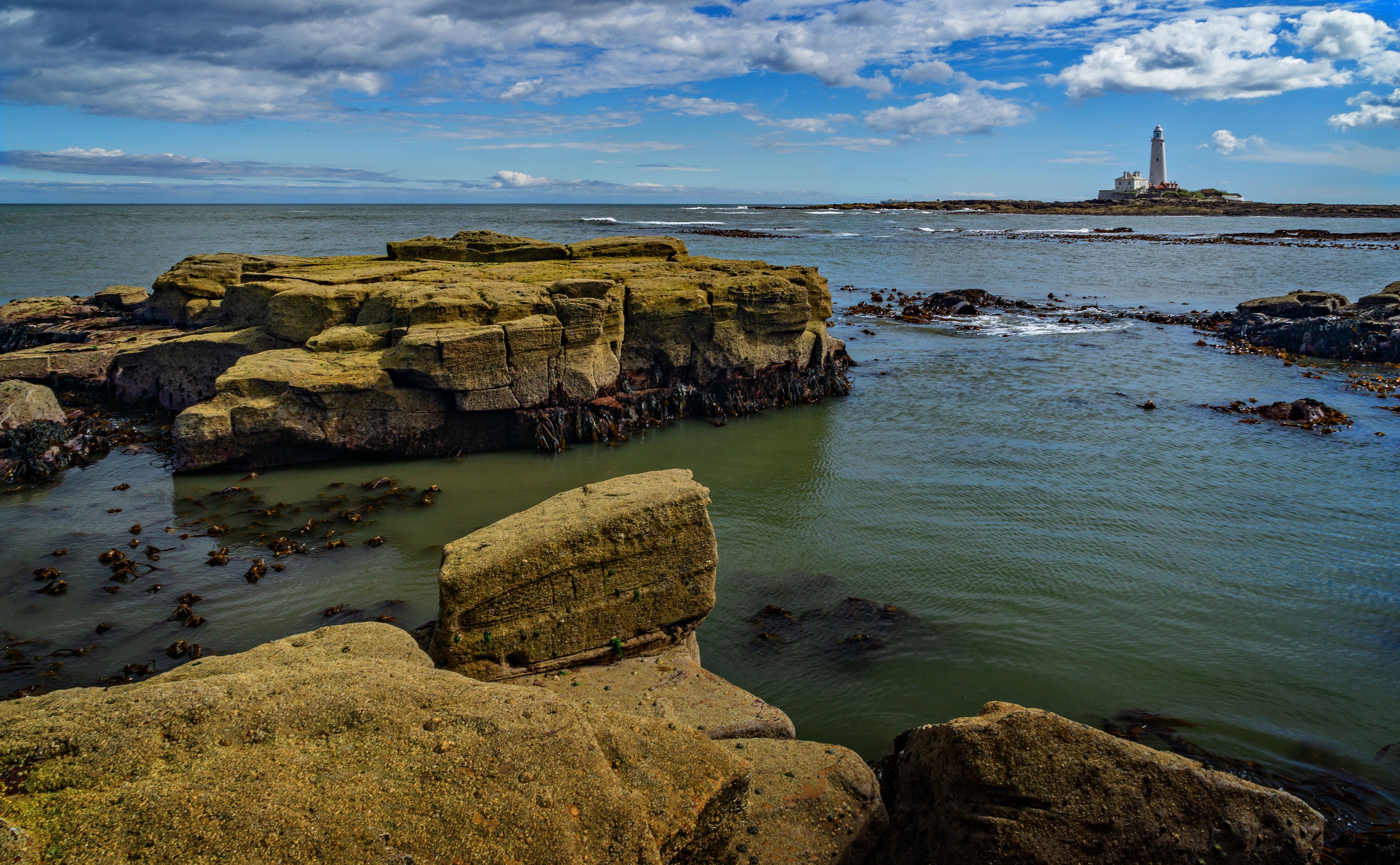 Rocks and St Marys Lighthouse on Seashore in England · Free Stock Photo