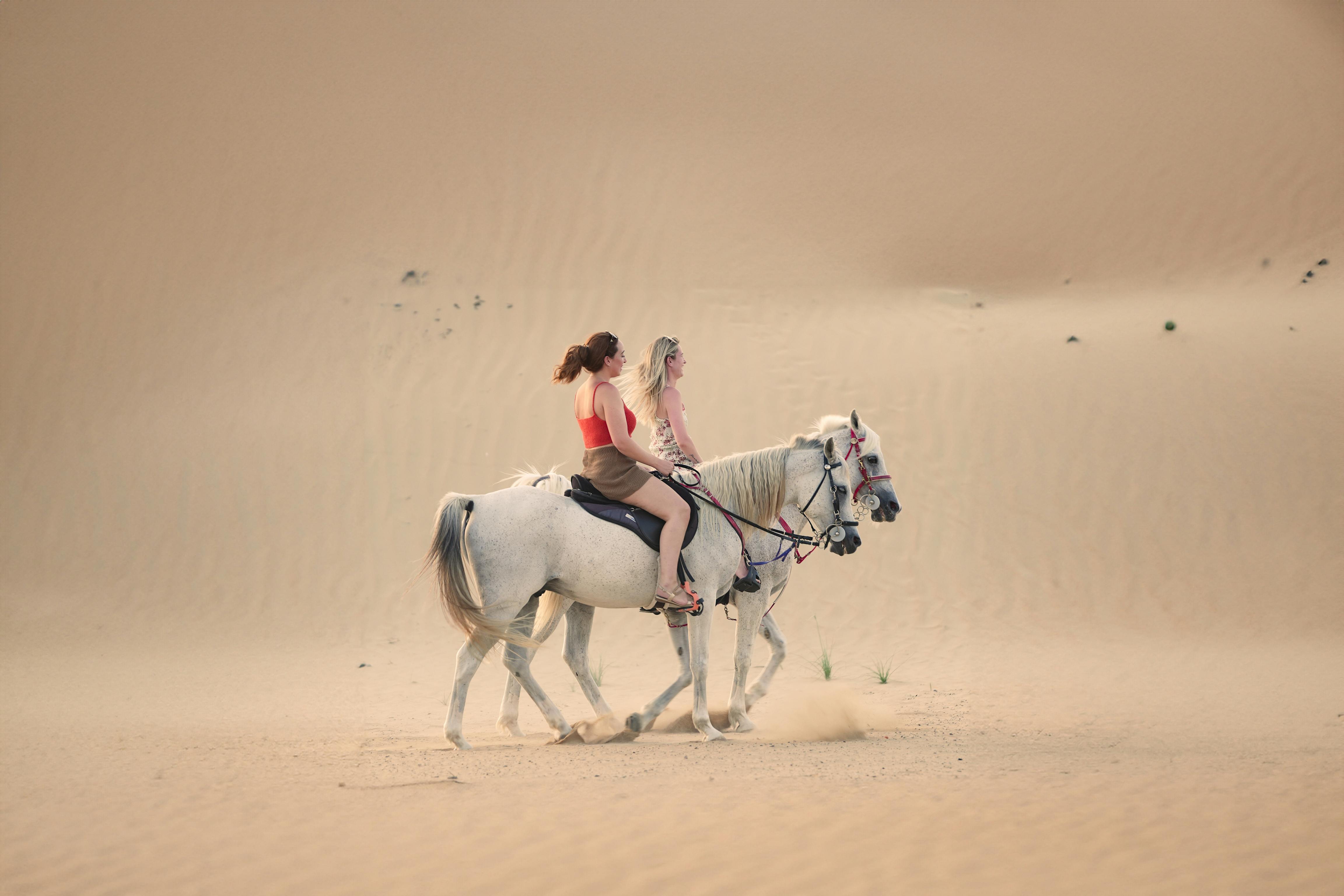 Desert Horse Riding Uae Photos, Download The BEST Free Desert Horse ...