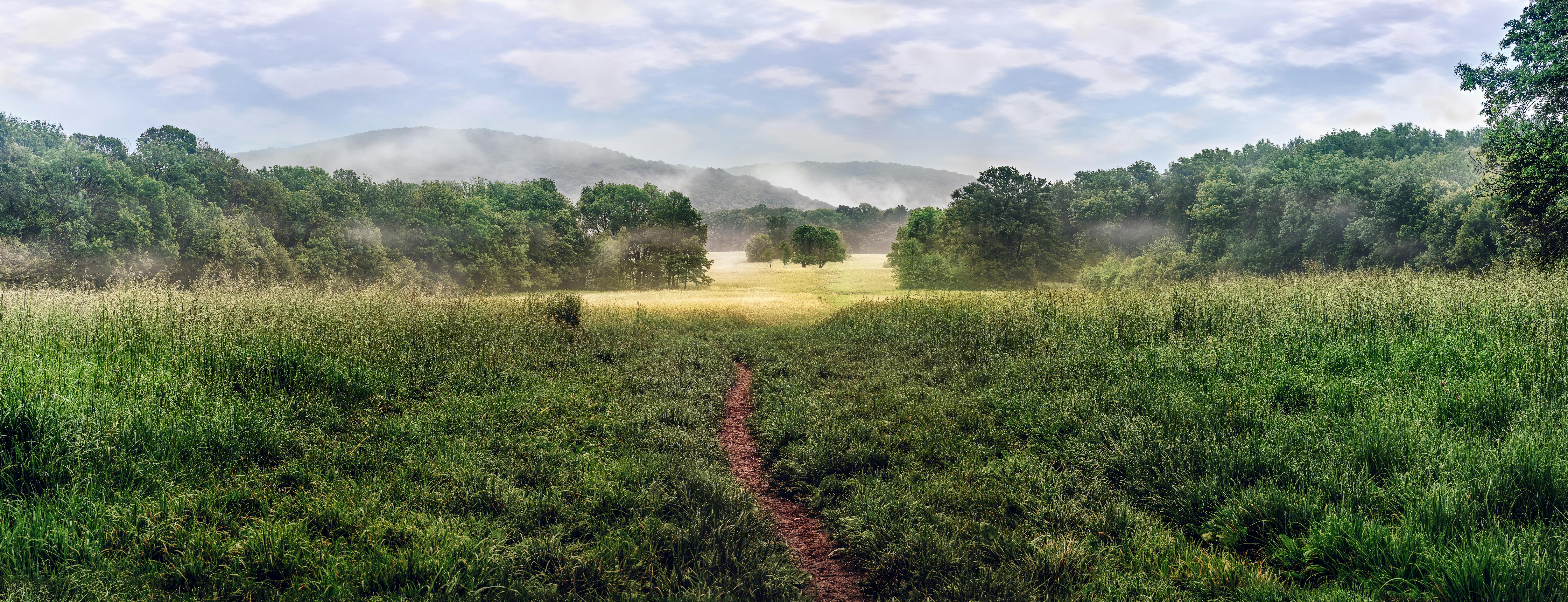 Narrow Aisle Between Grass Field · Free Stock Photo