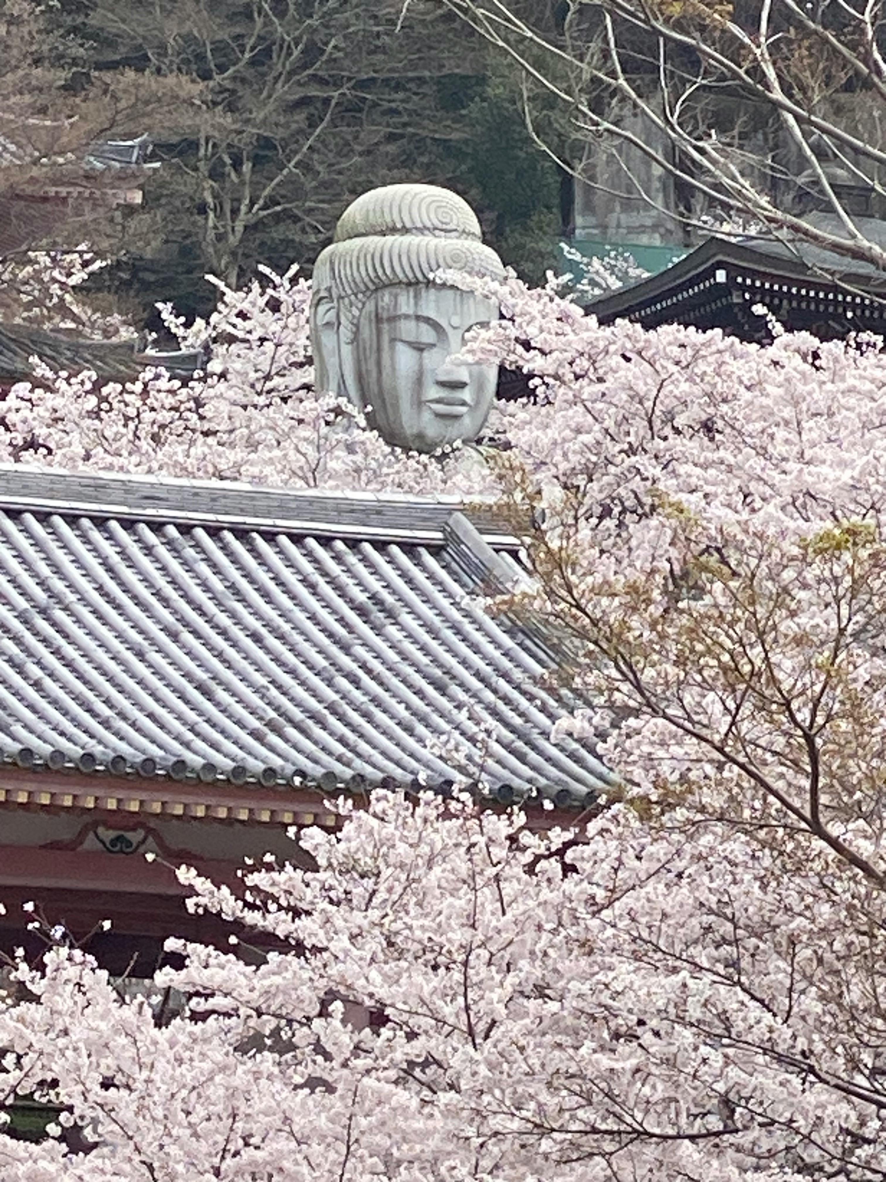 Ye Han - Photography