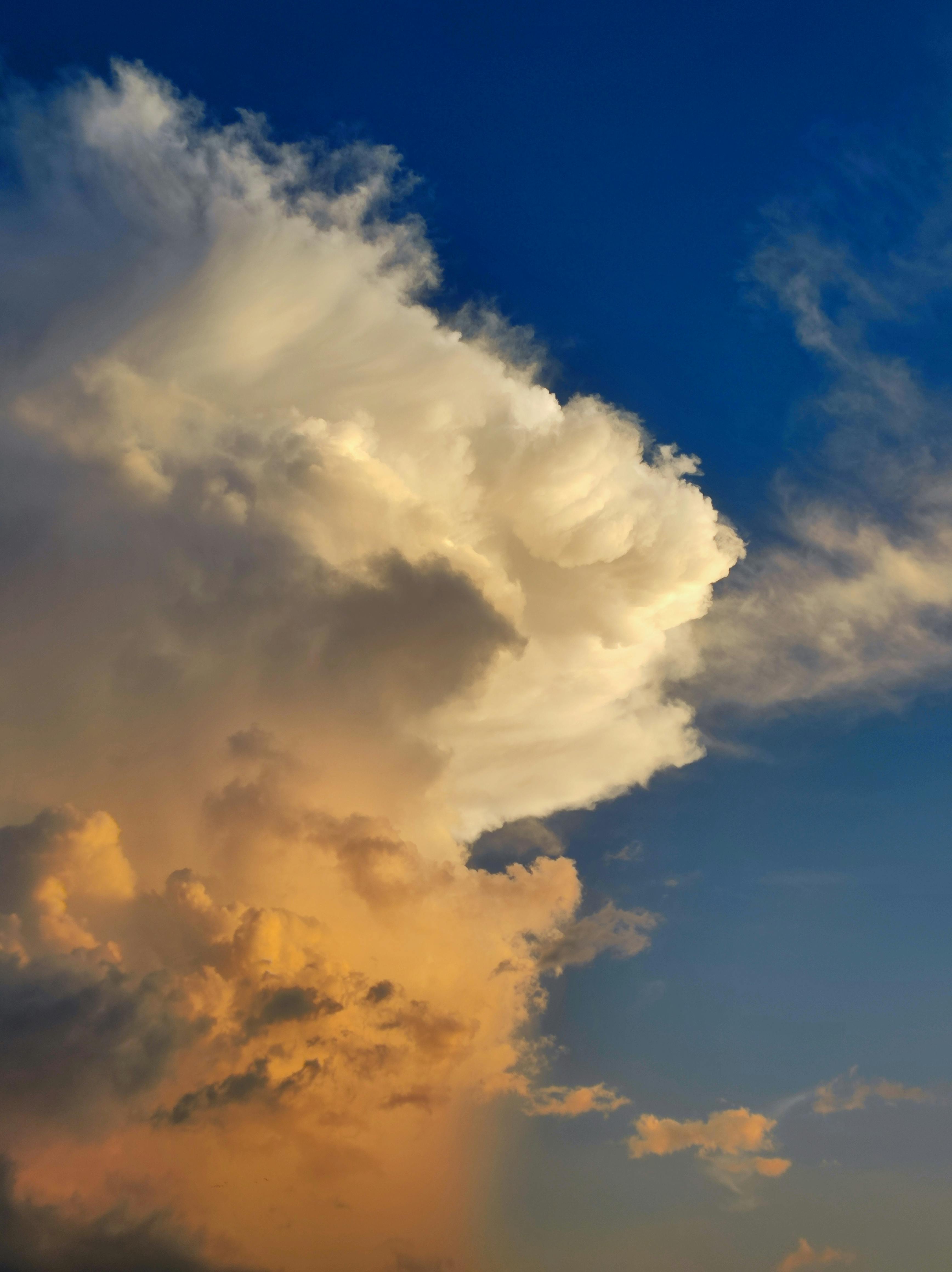 Tanda Tanda Asia Photos, Download The BEST Free Tanda Tanda Asia Stock ...