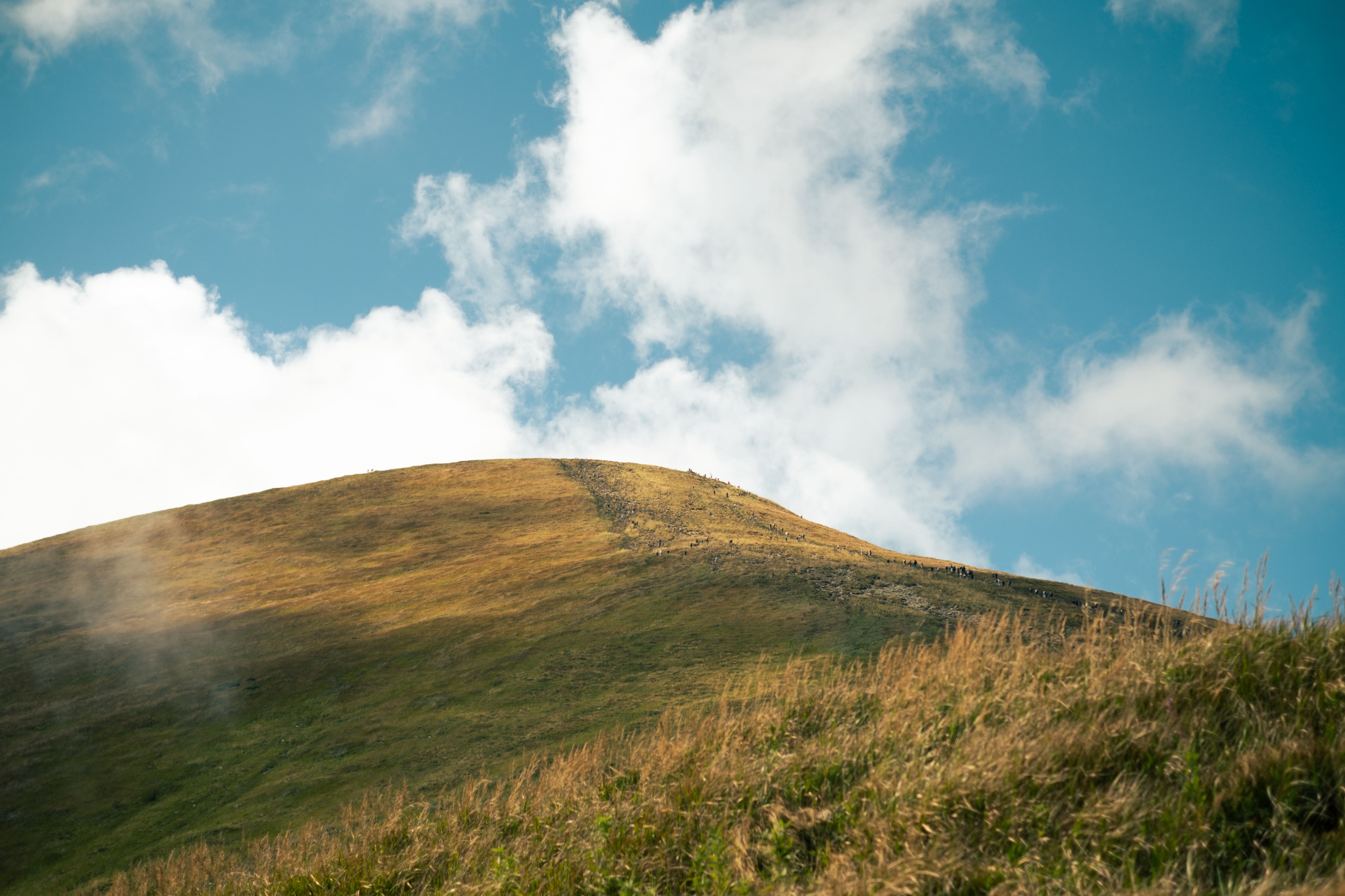 Grassland on Hill in Countryside · Free Stock Photo