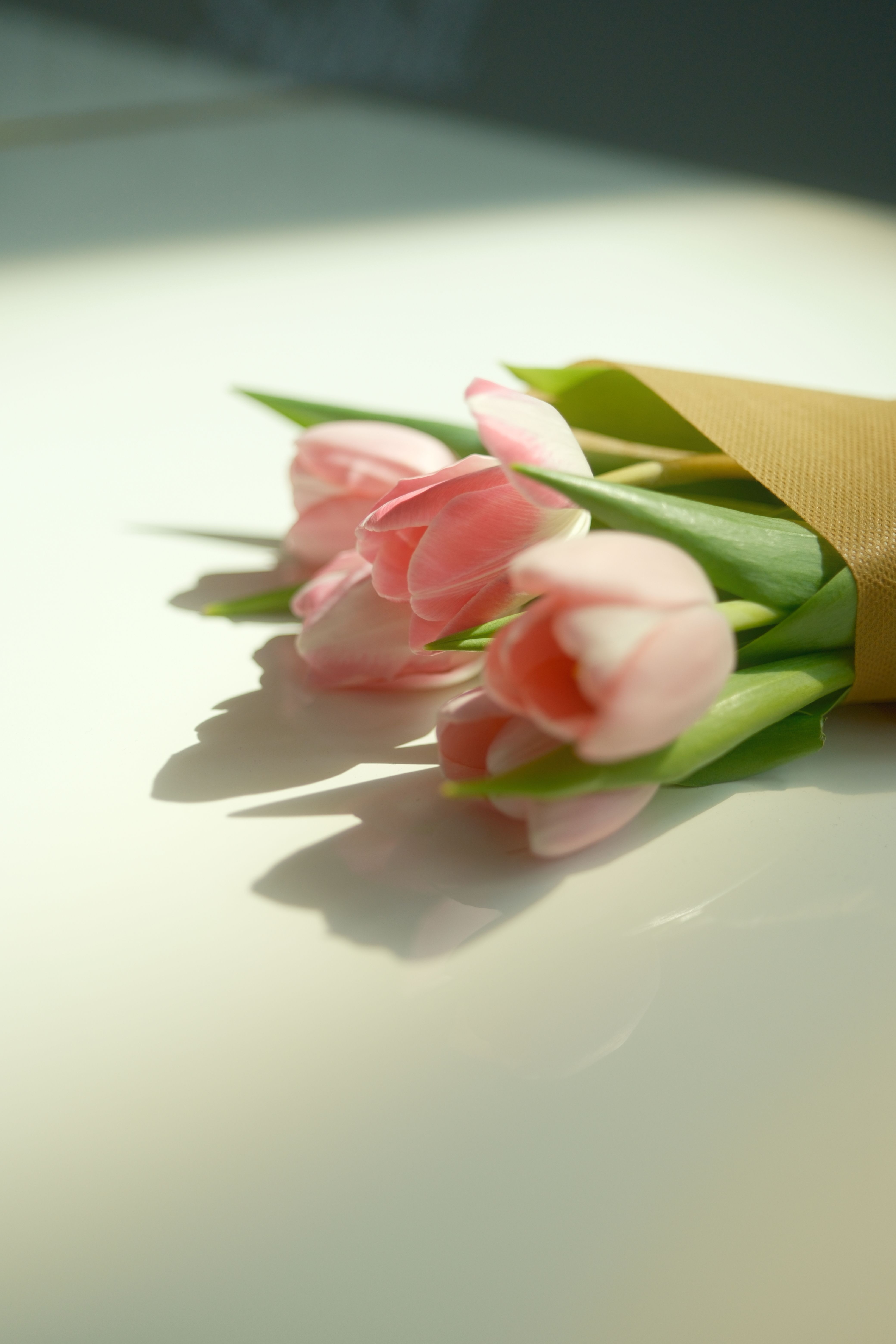 Leave Leave Leave Photos, Download The BEST Free Leave Leave Leave ...