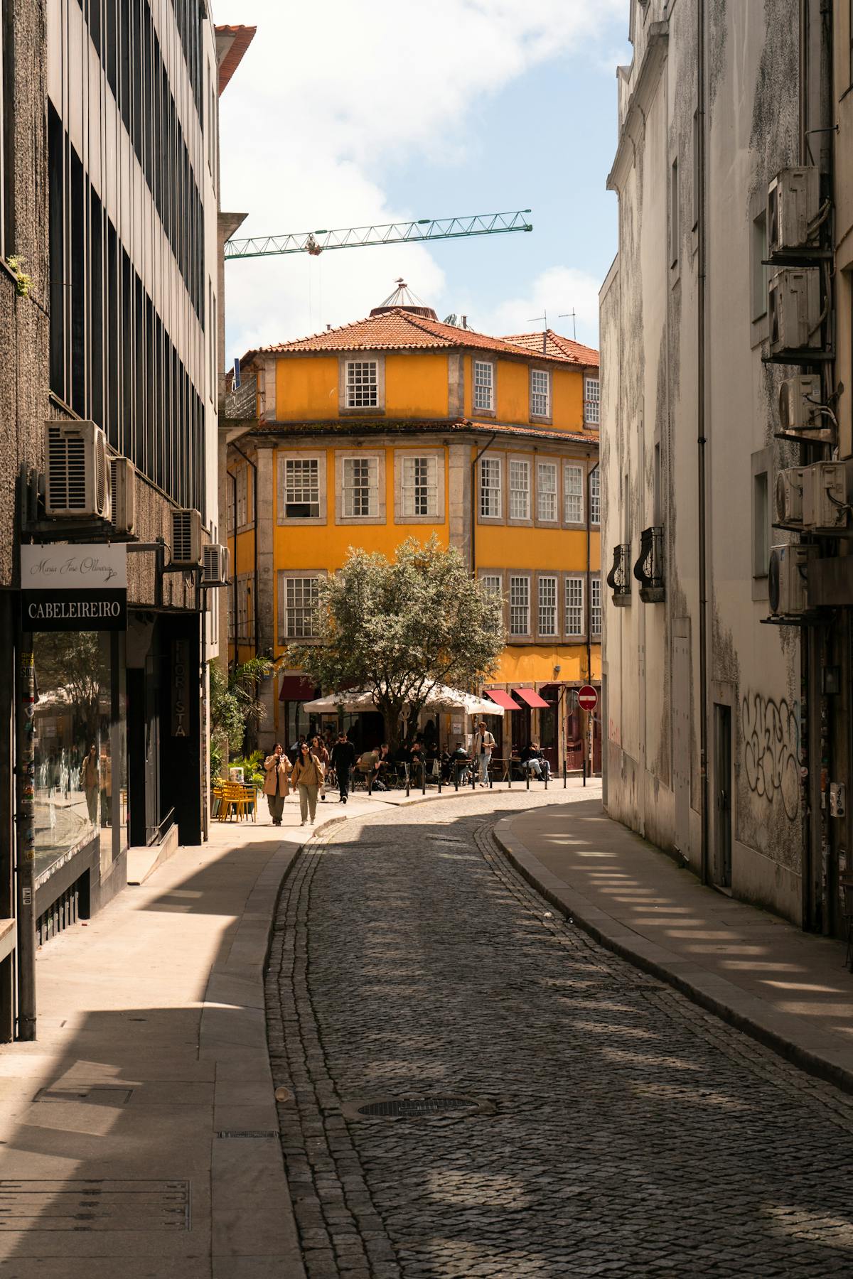 Color: Yellow Photos, Download The BEST Free Color: Yellow Stock Photos ...