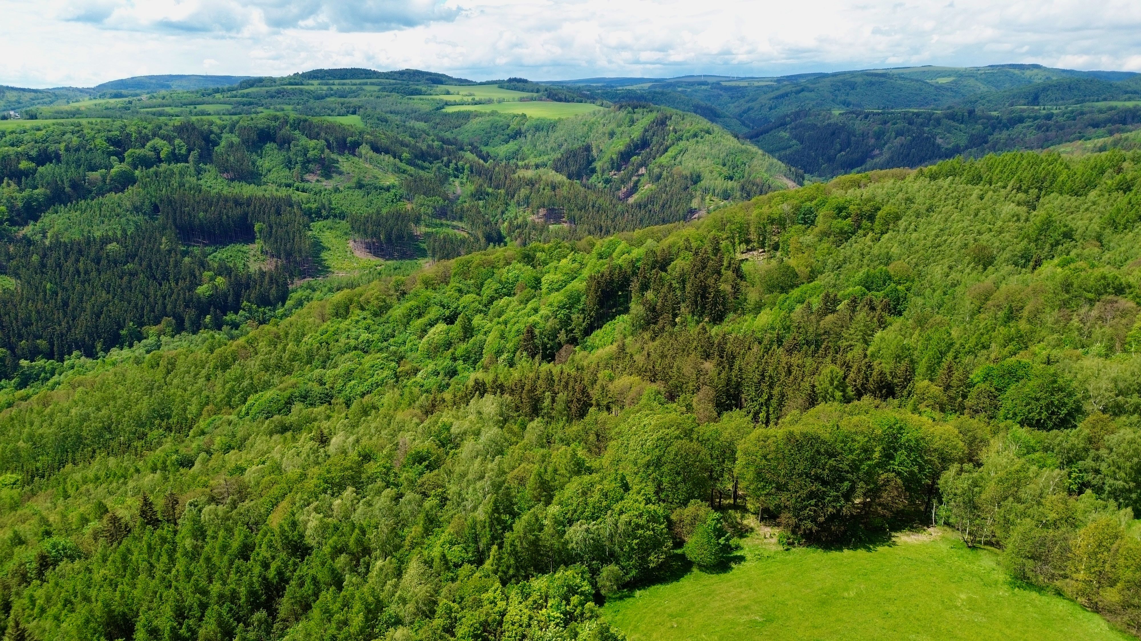 Landscape of Hills Filled with Grass and Trees · Free Stock Photo