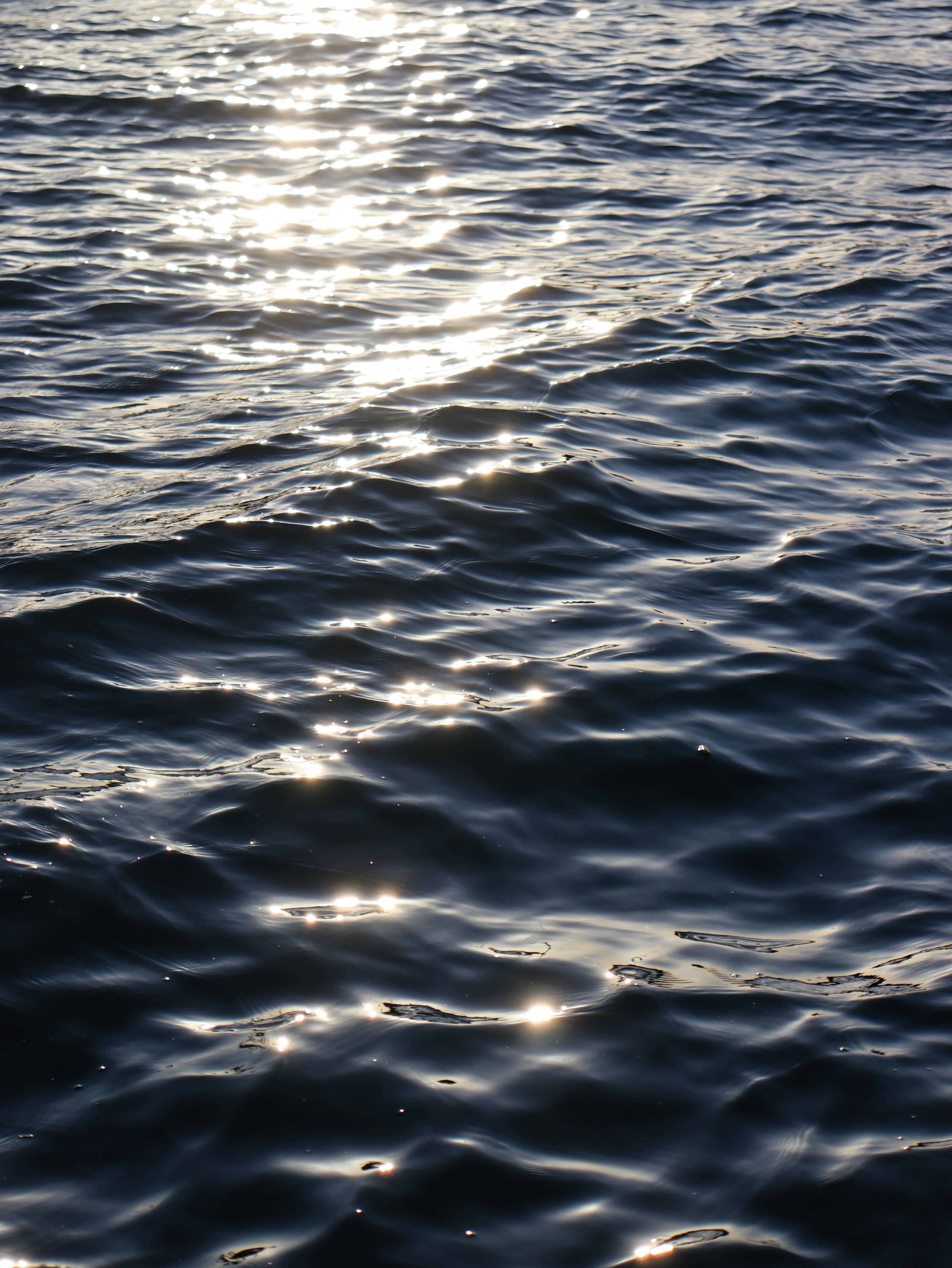 Surface of the Undulating Sea Shining with Sunlight · Free Stock Photo