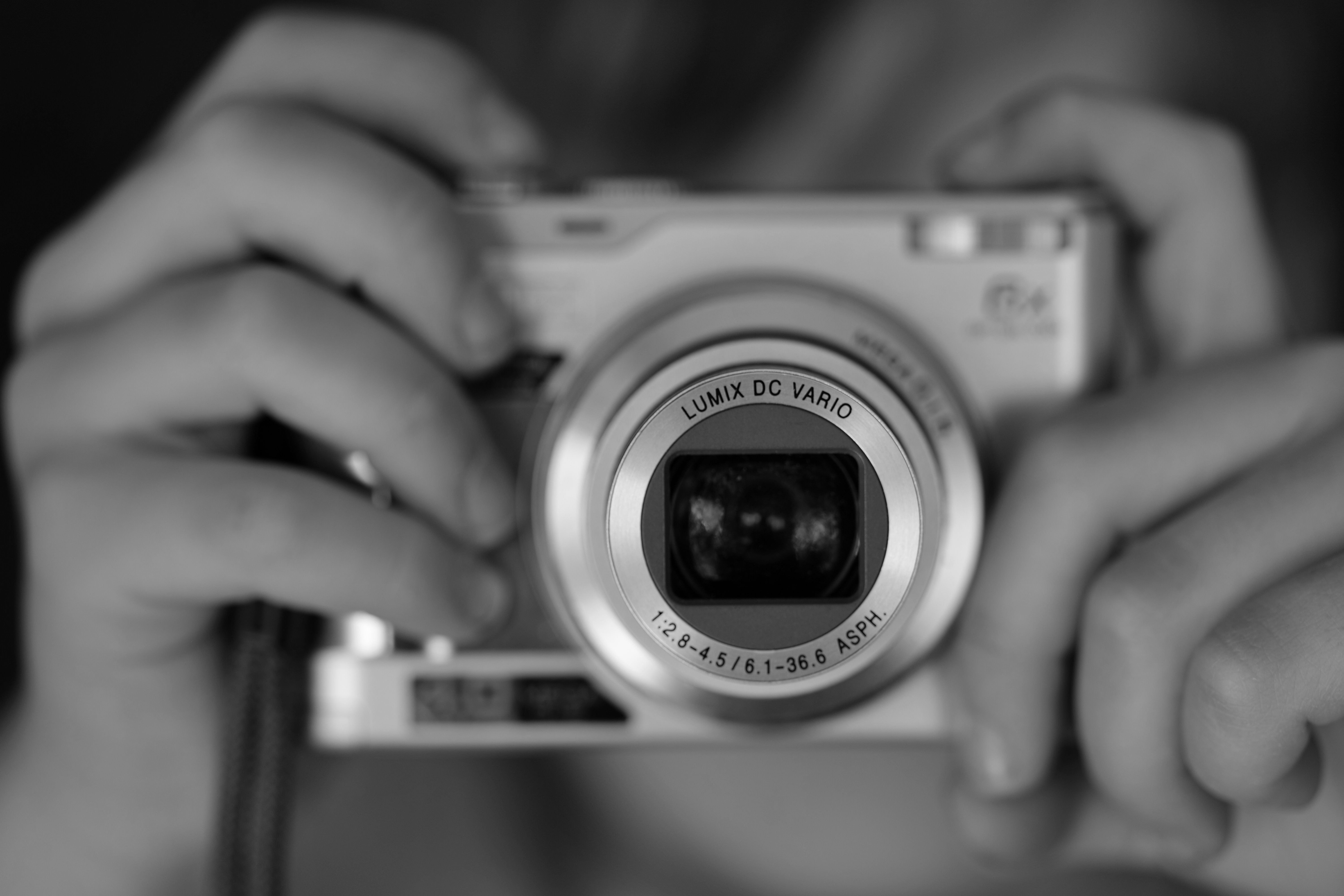 Person Hands Holding Camera · Free Stock Photo