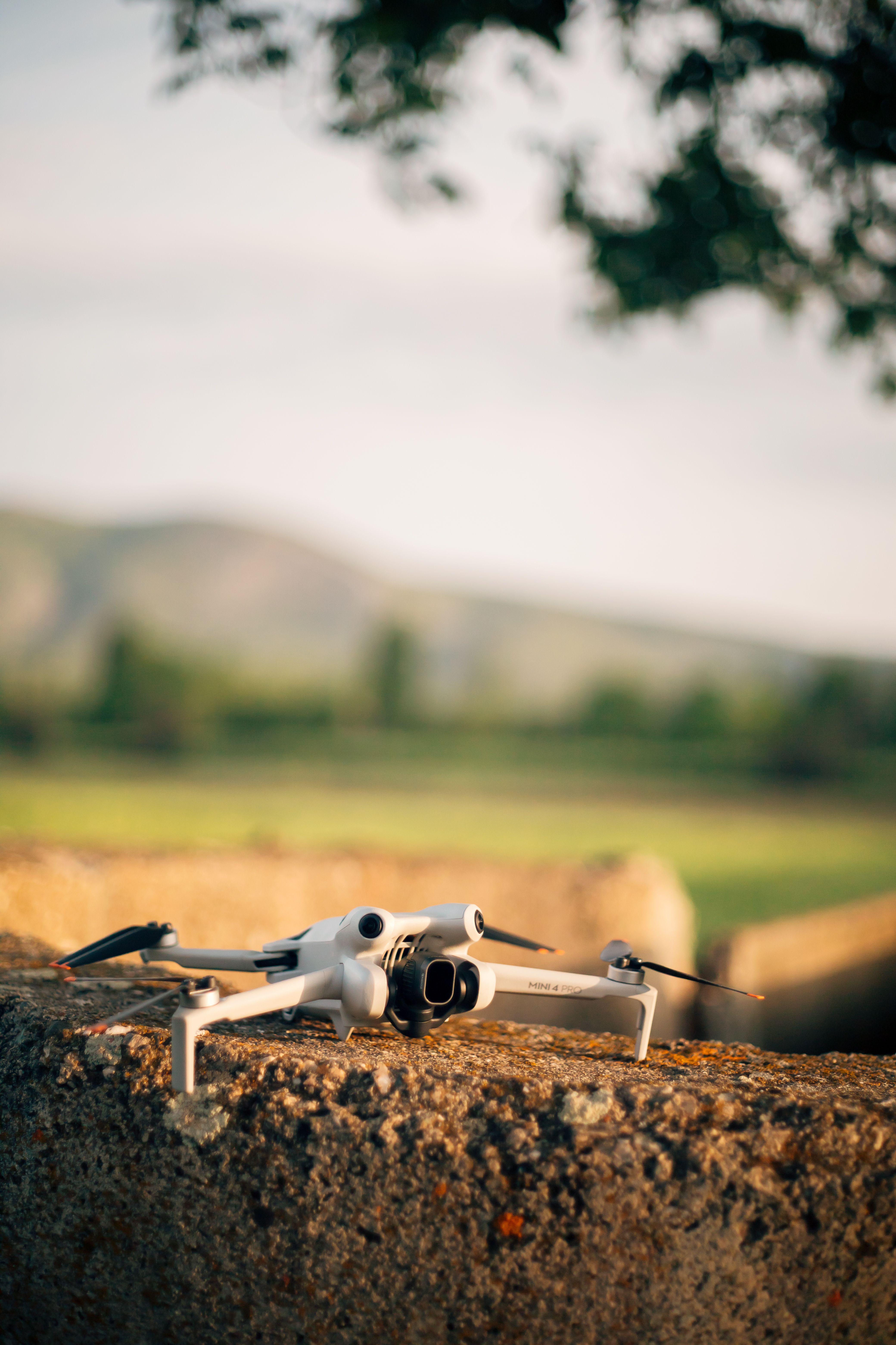 Flight Survey Photos, Download The BEST Free Flight Survey Stock Photos ...