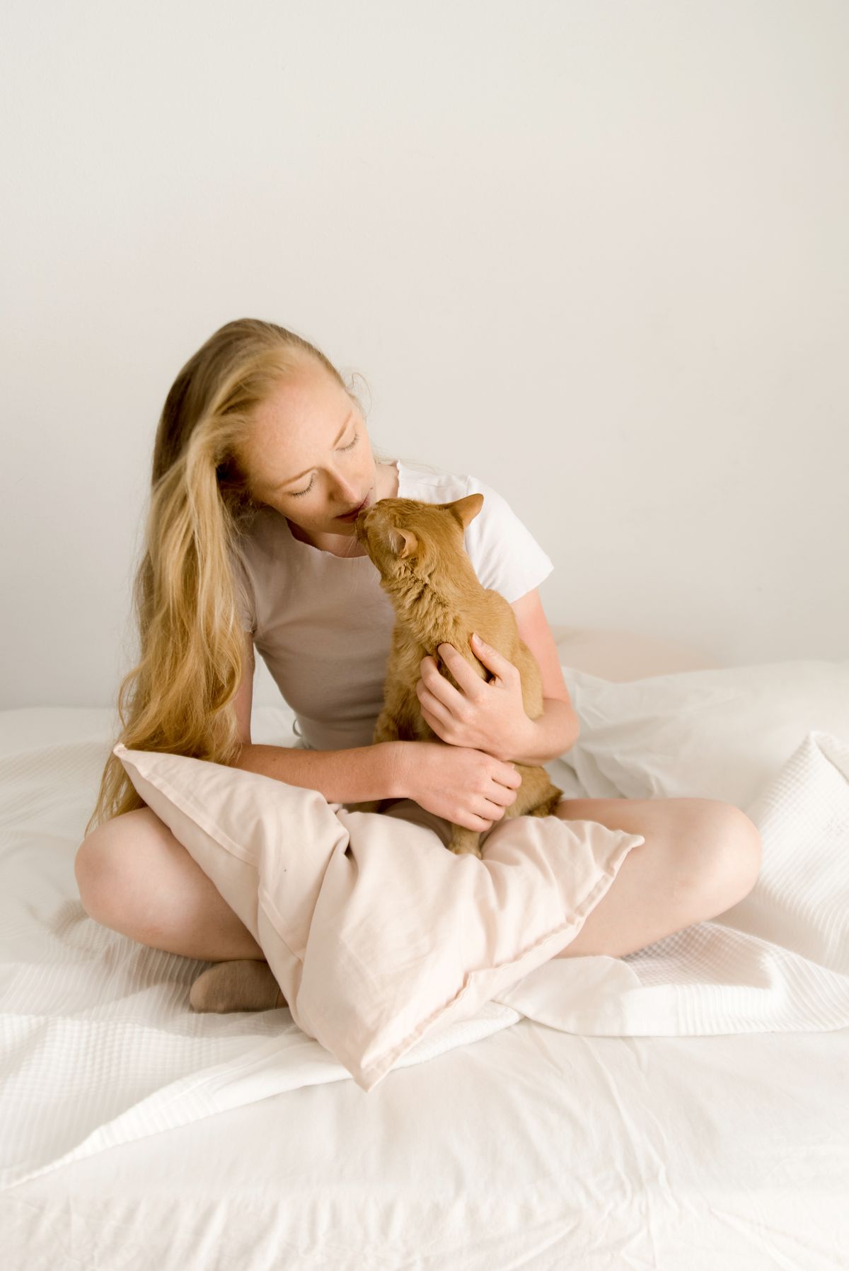 Cats Hugging Photos, Download The BEST Free Cats Hugging Stock Photos ...