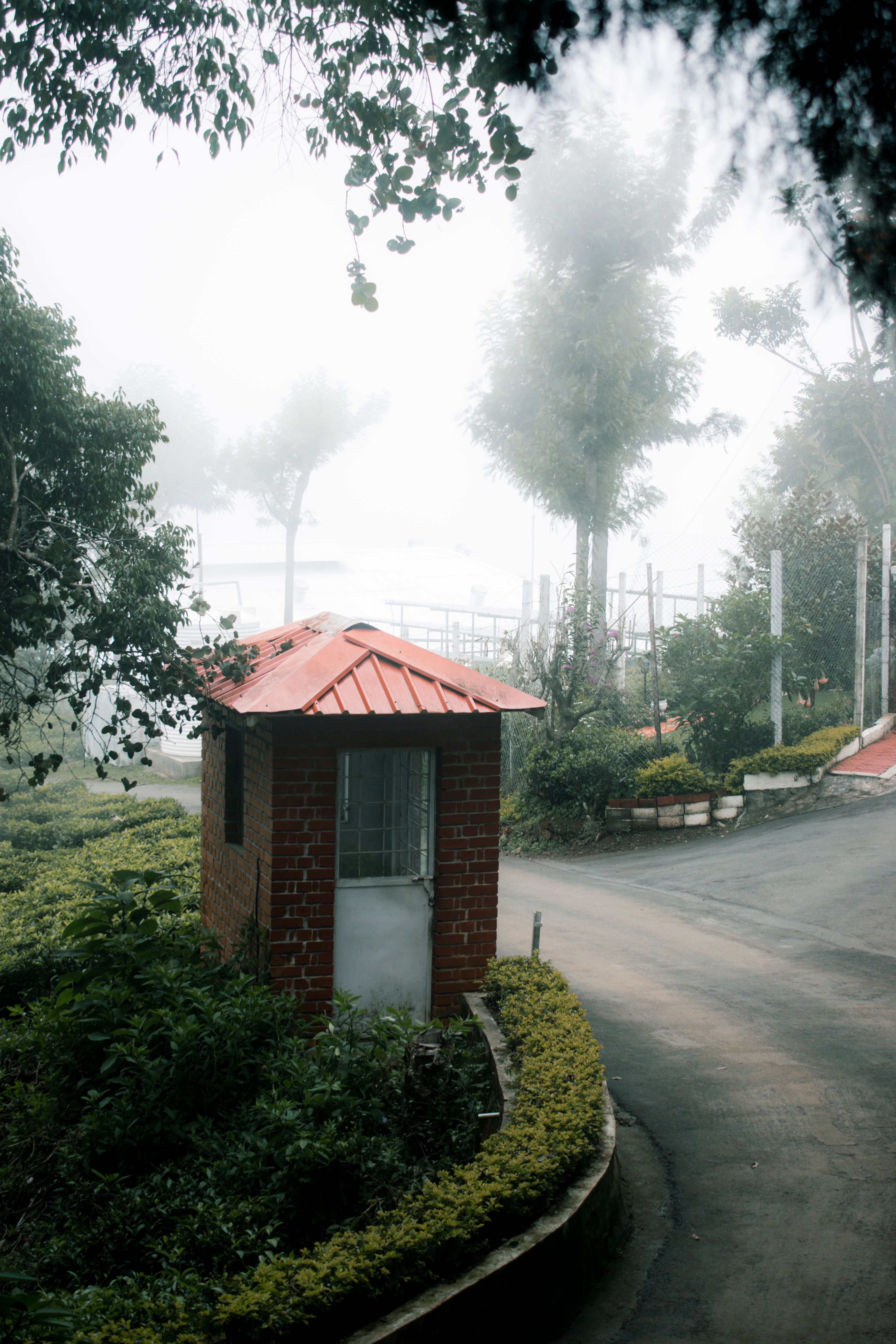 Roadside Booth during a Foggy Weather · Free Stock Photo