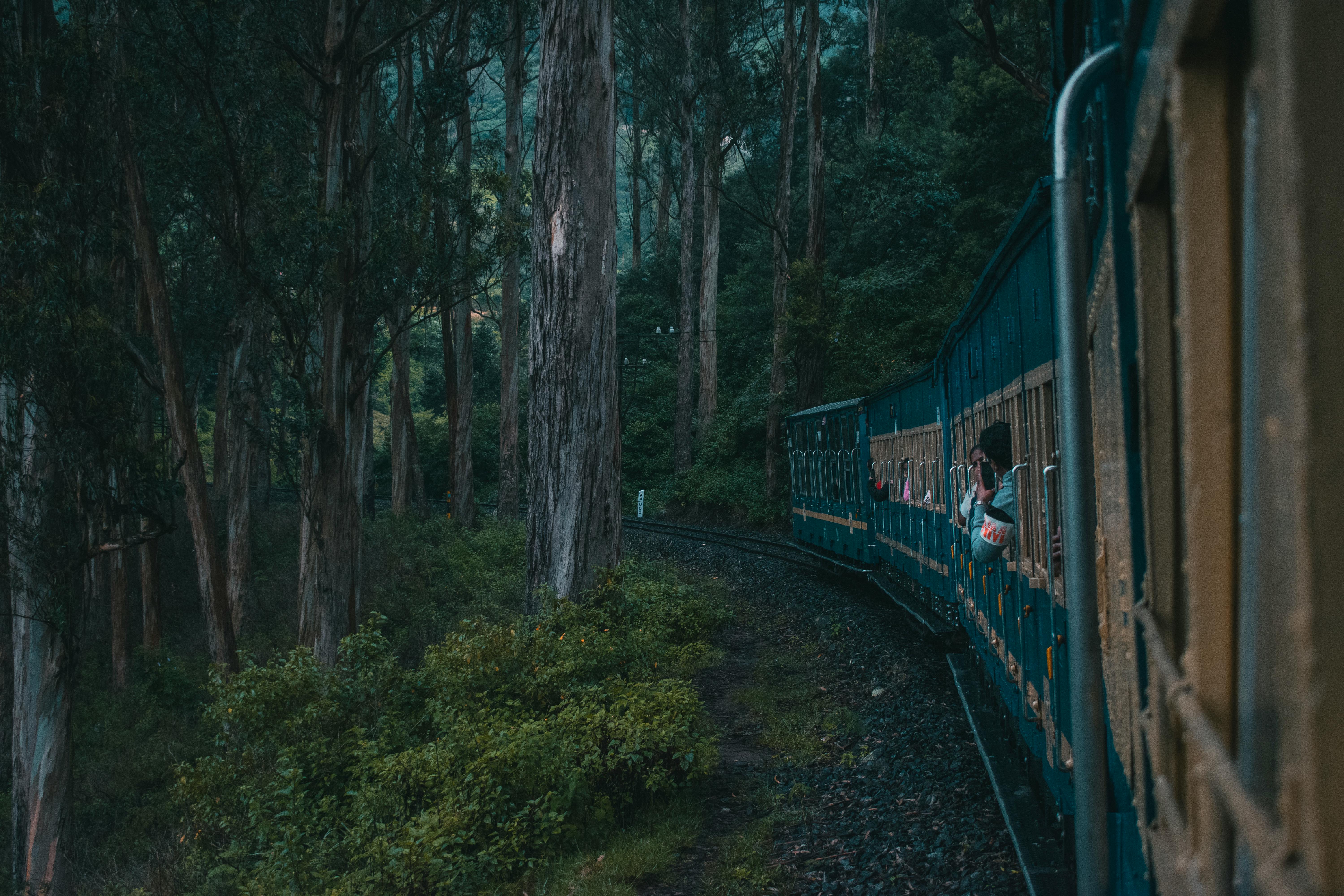 Train on Rails in a Forest · Free Stock Photo