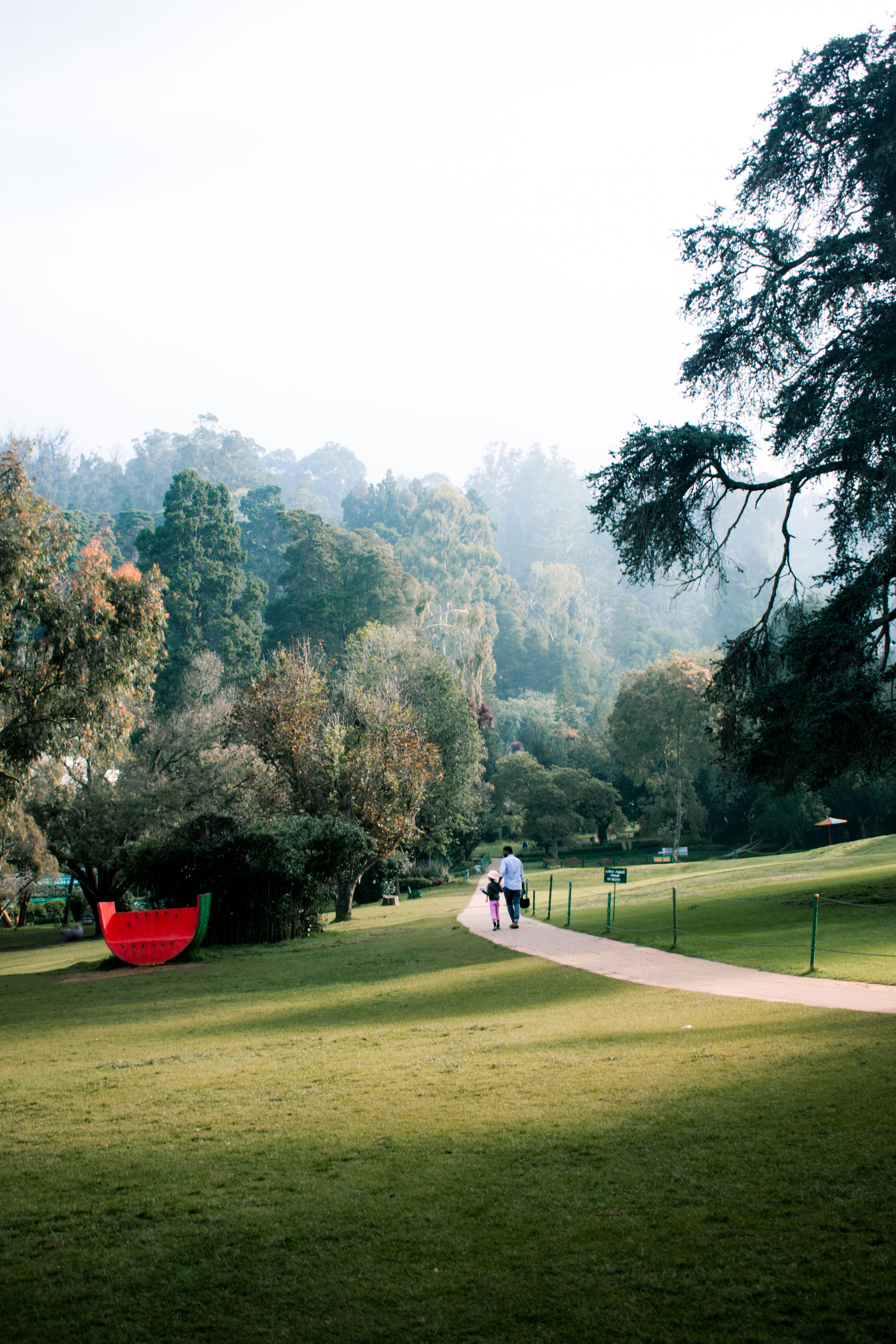 Park Landscape Photos, Download The BEST Free Park Landscape Stock ...