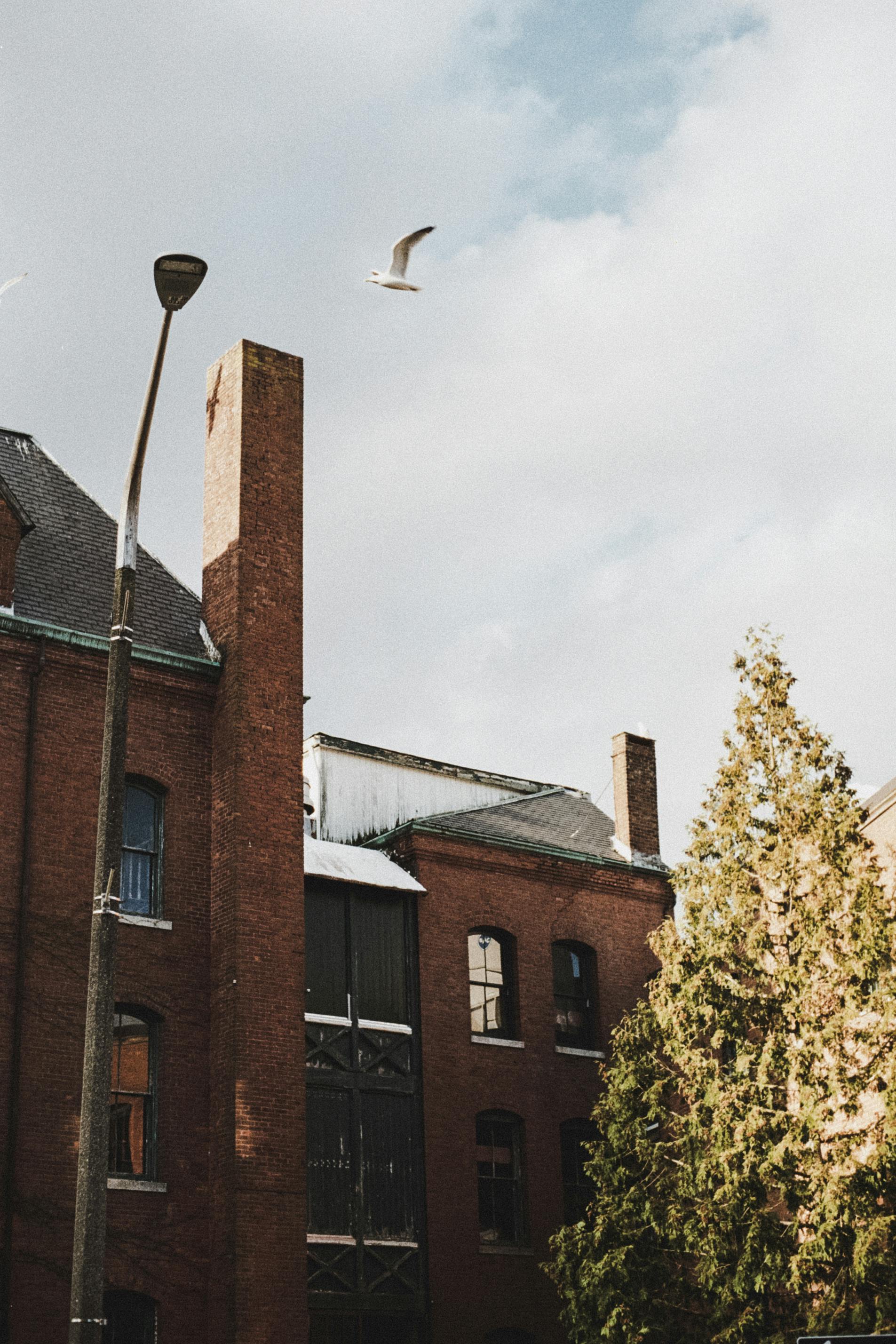 Brick Tenement in Sunlight · Free Stock Photo