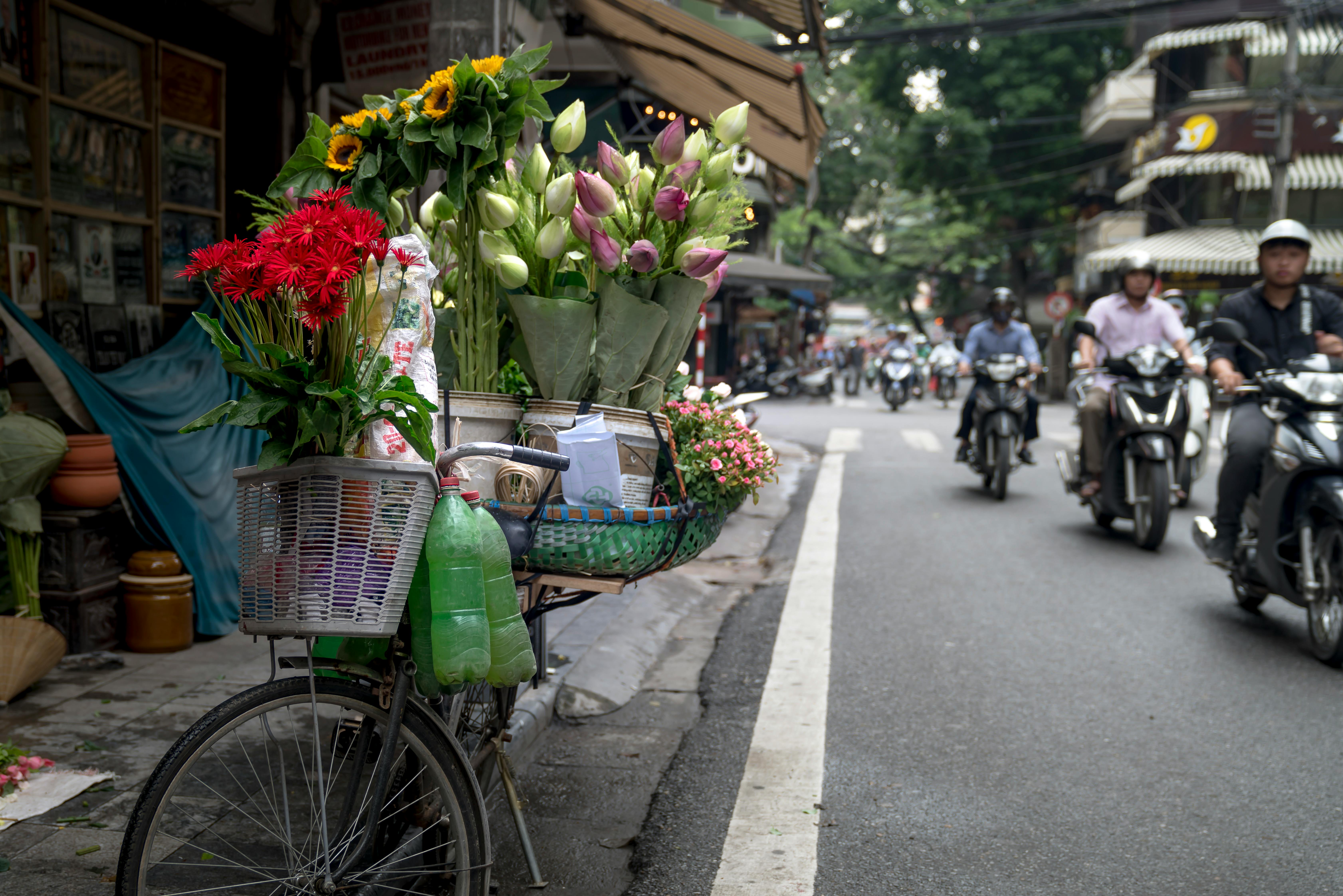 Woman Standing and Carrying Flowers Near Road and Building · Free Stock ...
