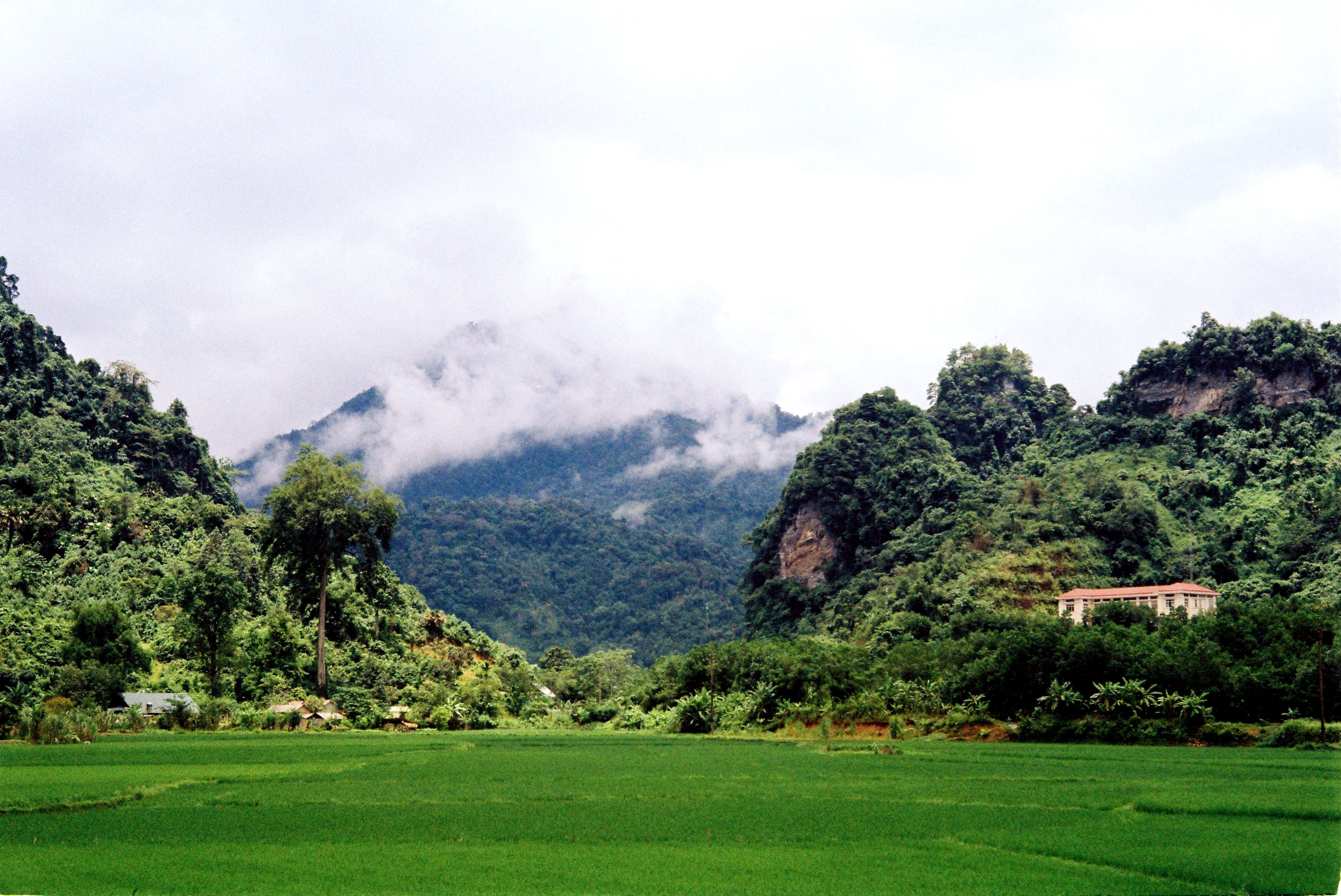 Field, Hills and Forest in Countryside · Free Stock Photo