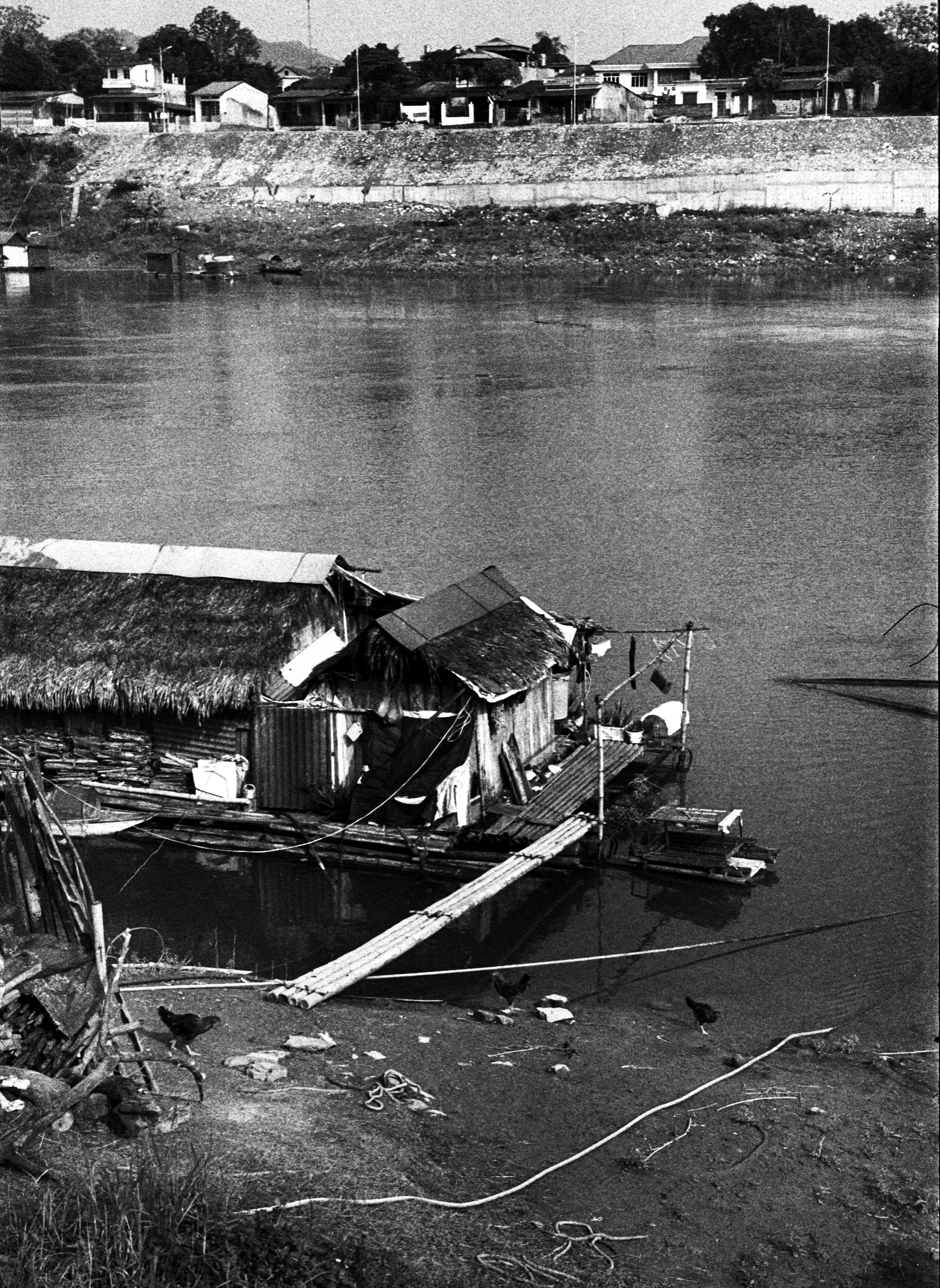 Fishing For Chickens Photos, Download The BEST Free Fishing For ...