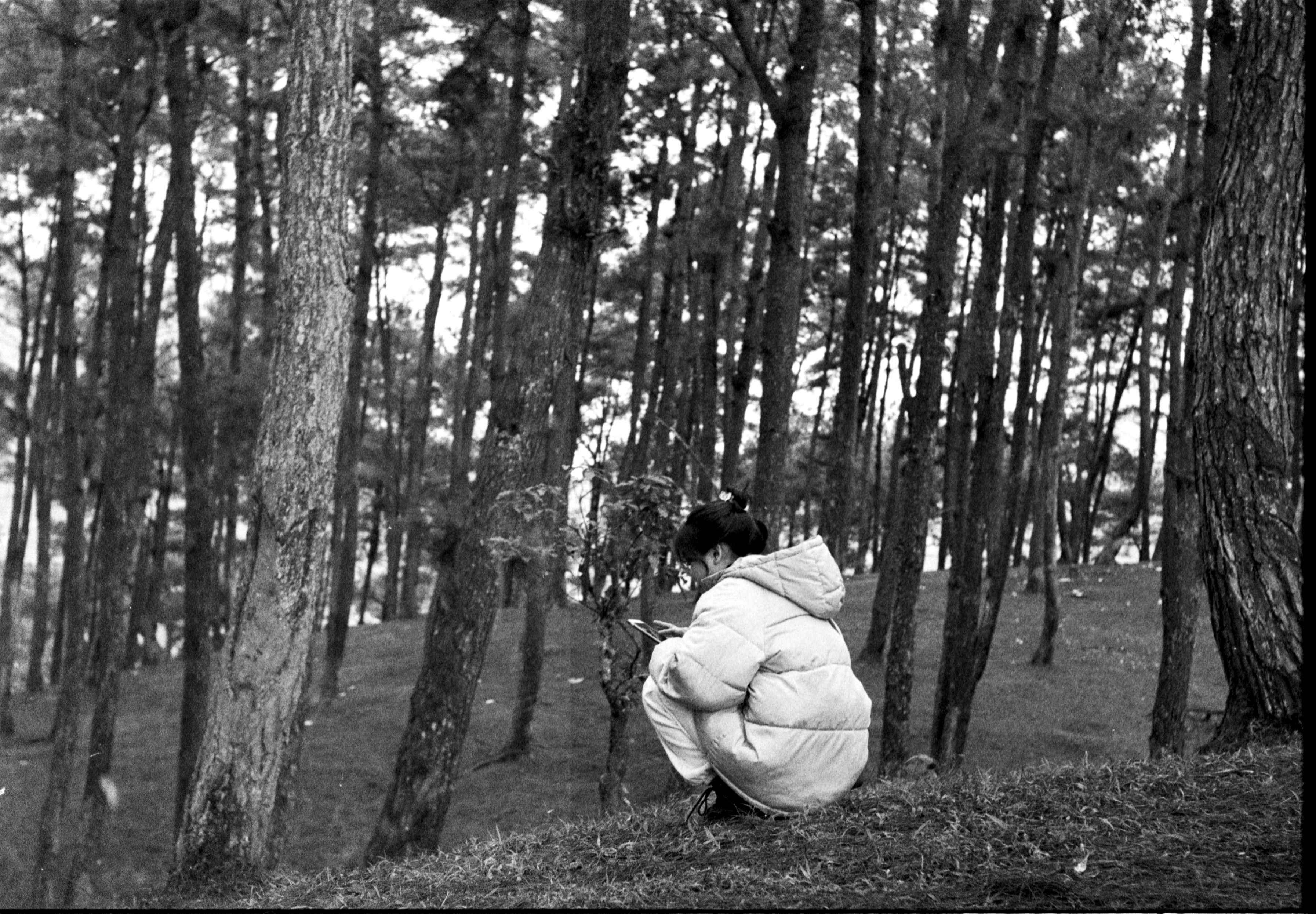 Woman in Jacket Squatting among Trees in Forest · Free Stock Photo
