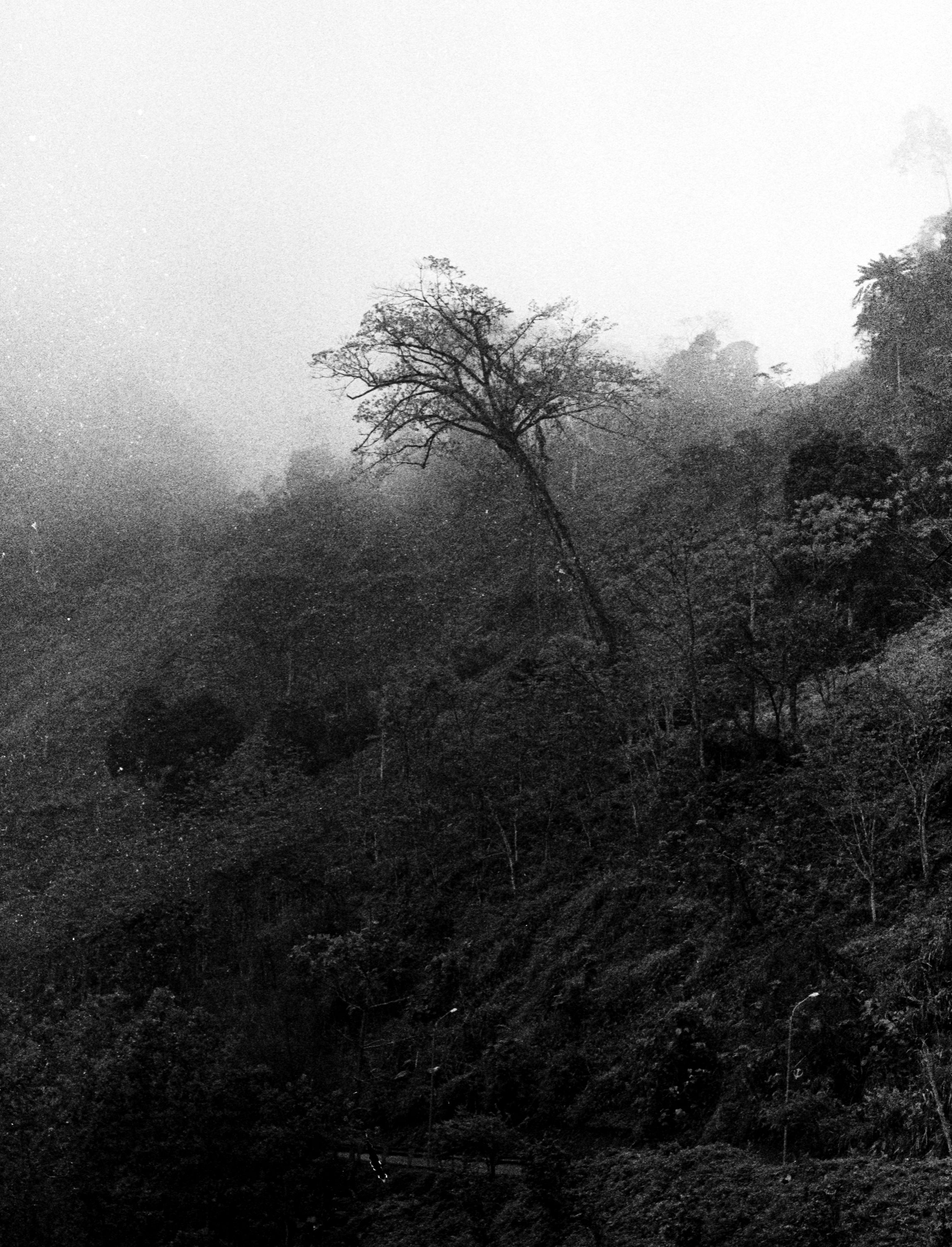 Mesa Mist Photos, Download The BEST Free Mesa Mist Stock Photos & HD Images