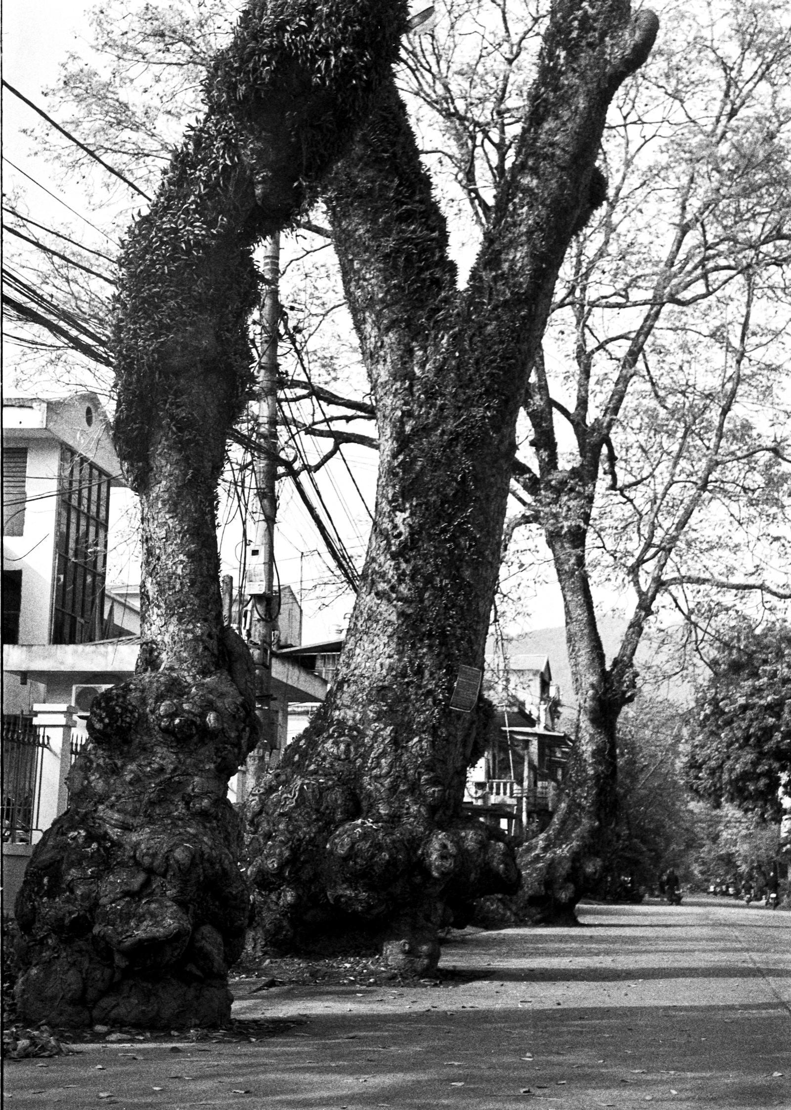 Big Five Photos, Download The BEST Free Big Five Stock Photos & HD Images