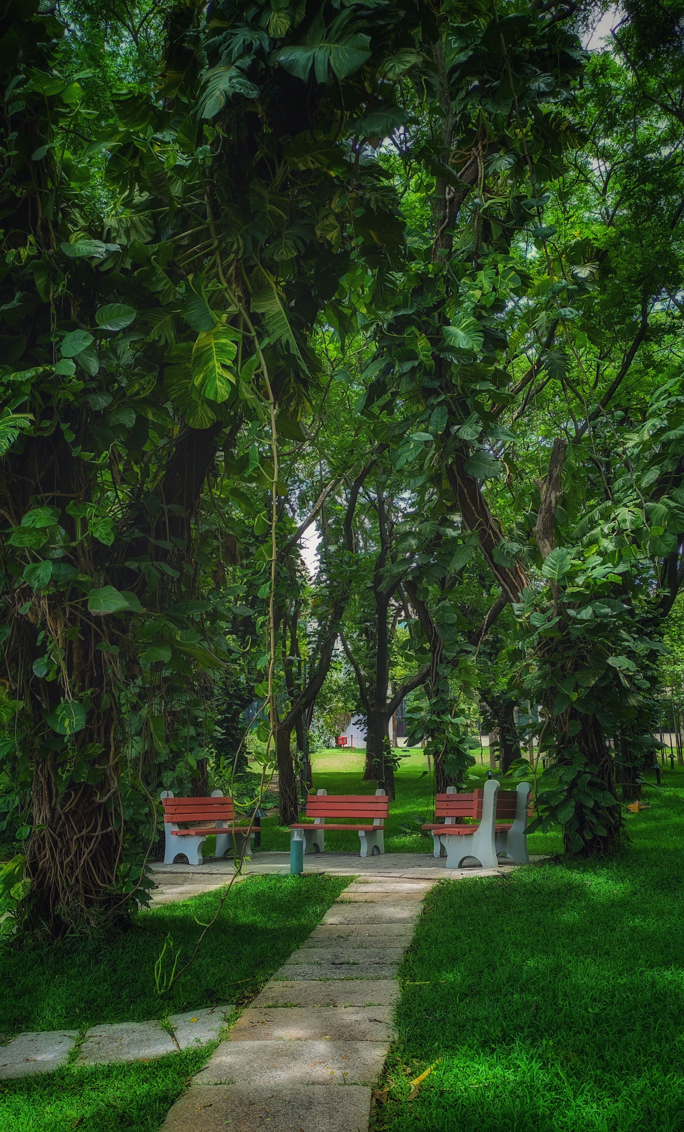Trees around Benches at Park · Free Stock Photo