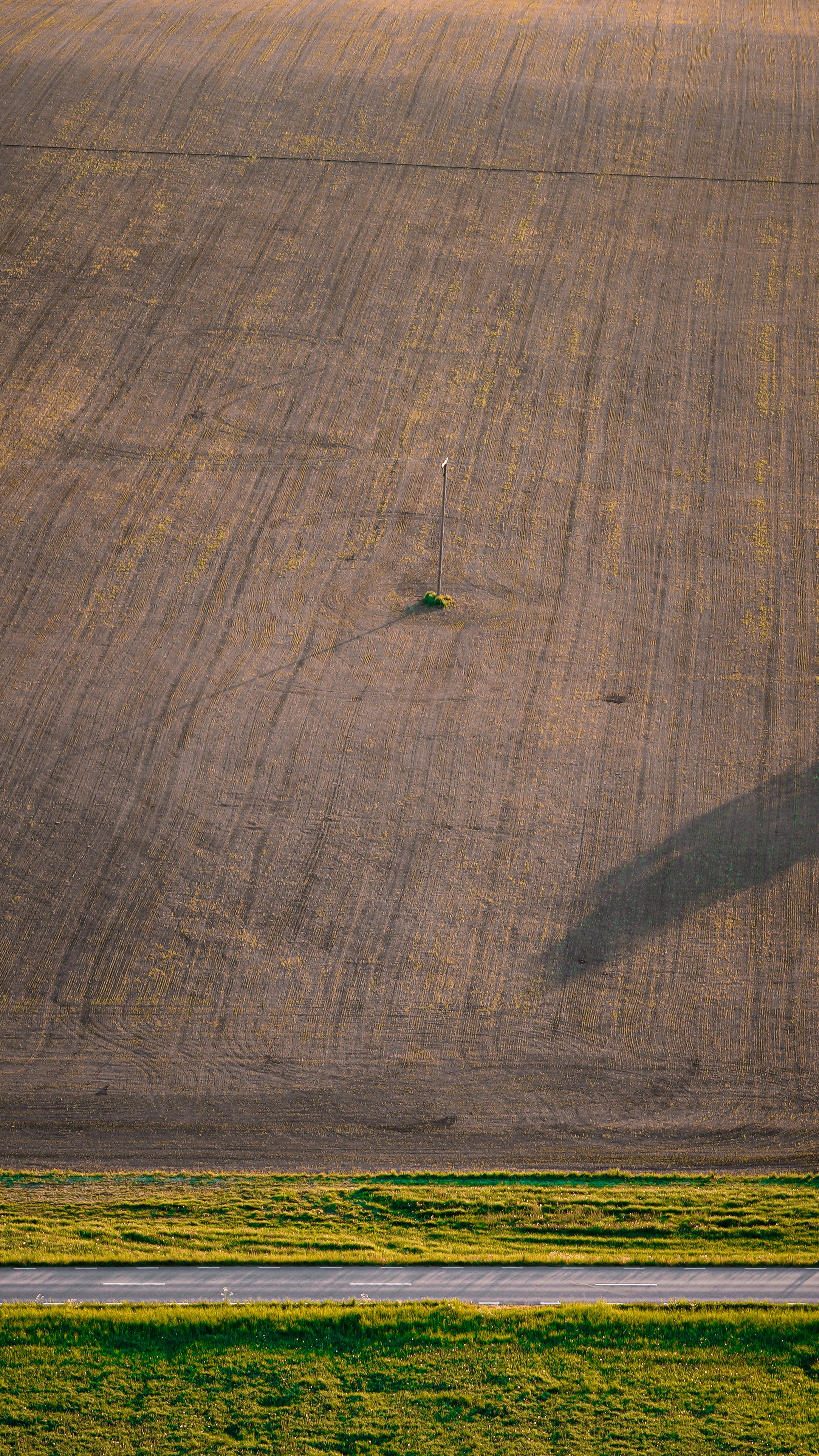 Birds Eye View of Rural Field · Free Stock Photo