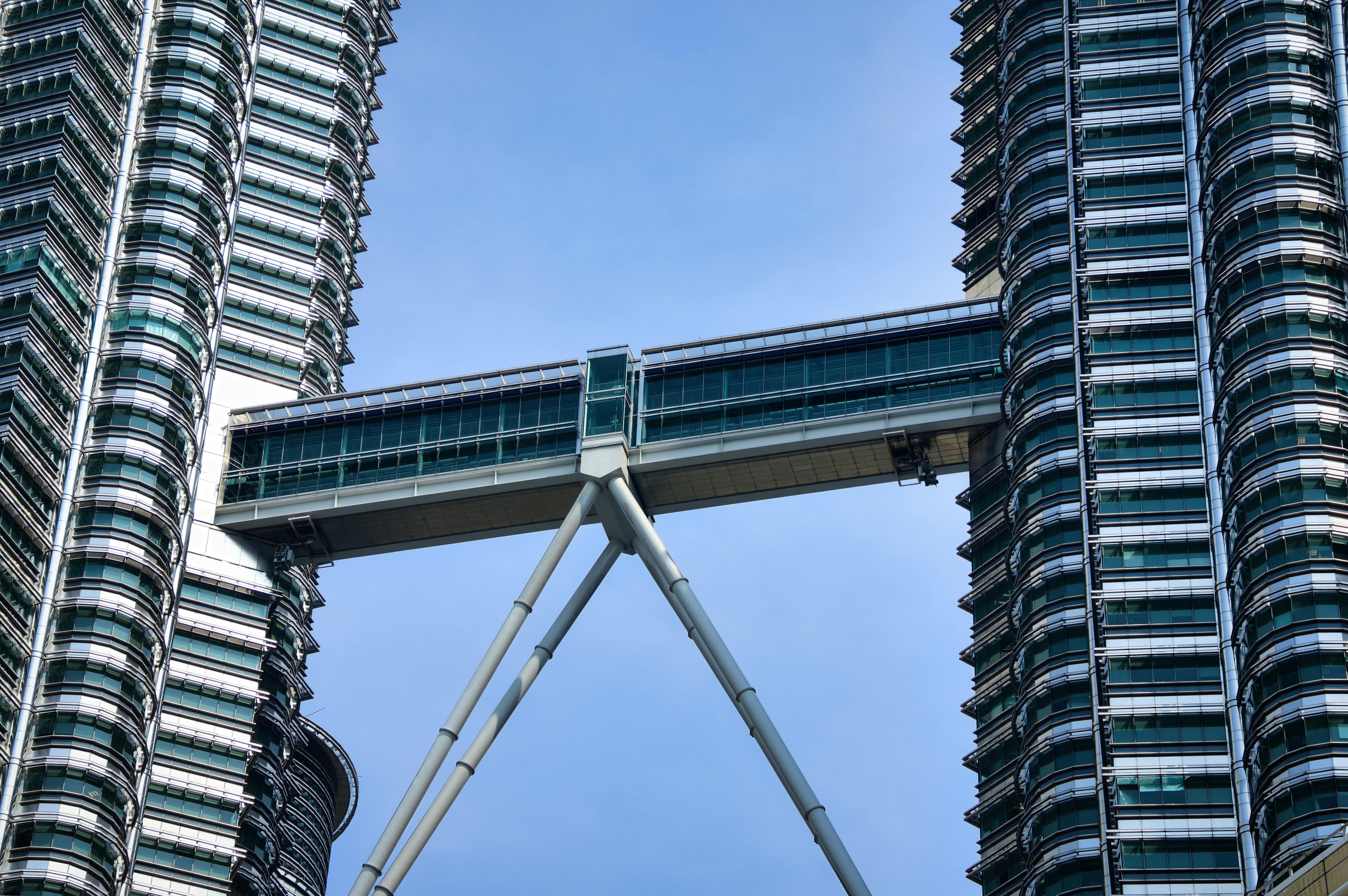 Office Shark Photos, Download The BEST Free Office Shark Stock Photos ...