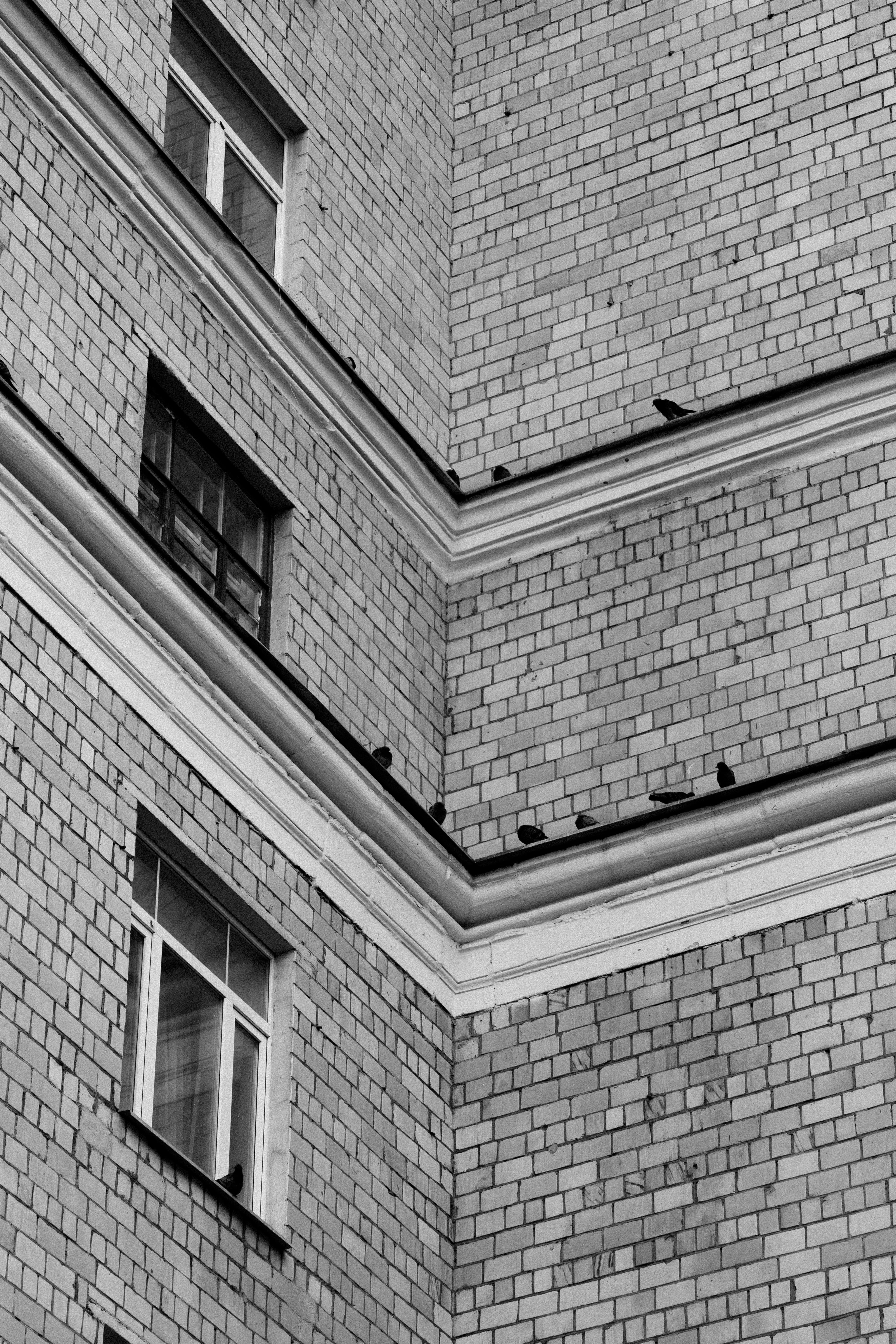 Msedgewebview2 Edge Reddit Photos, Download The BEST Free ...