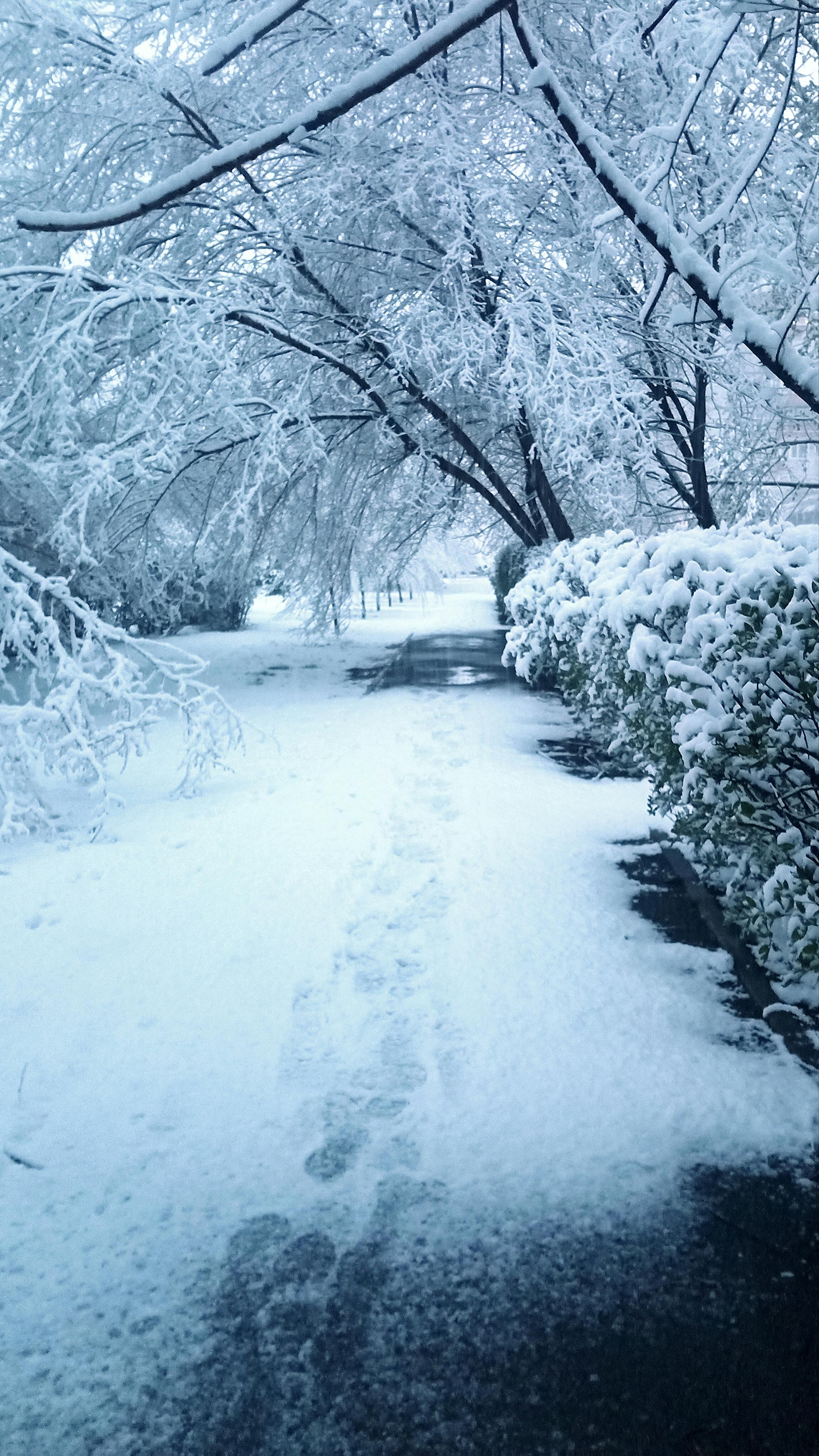 Лучшие фото (100 000+) по запросу «Study Les Background» · Скачивайте ...