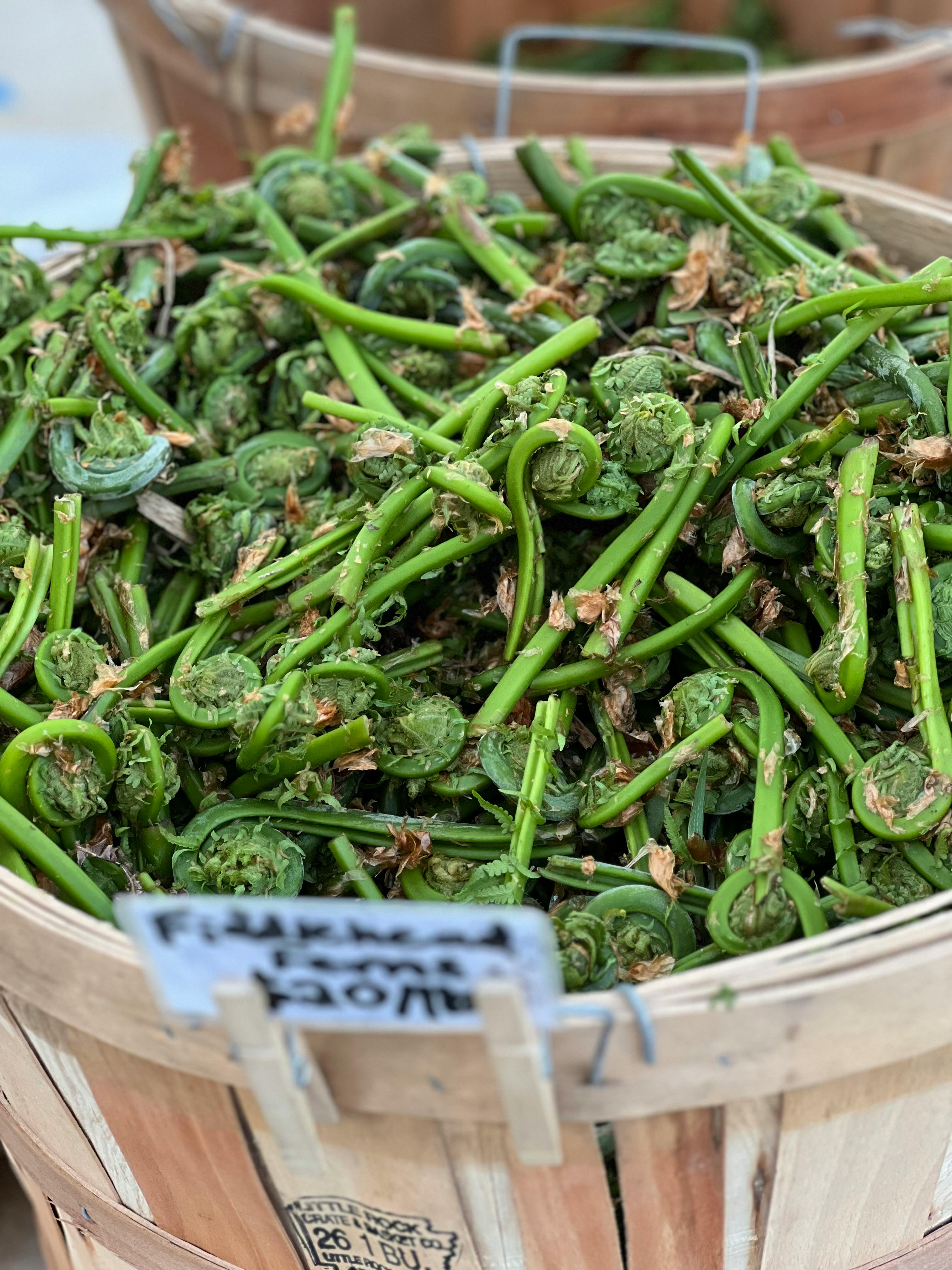 Fiddlehead Ferns on Food Market · Free Stock Photo