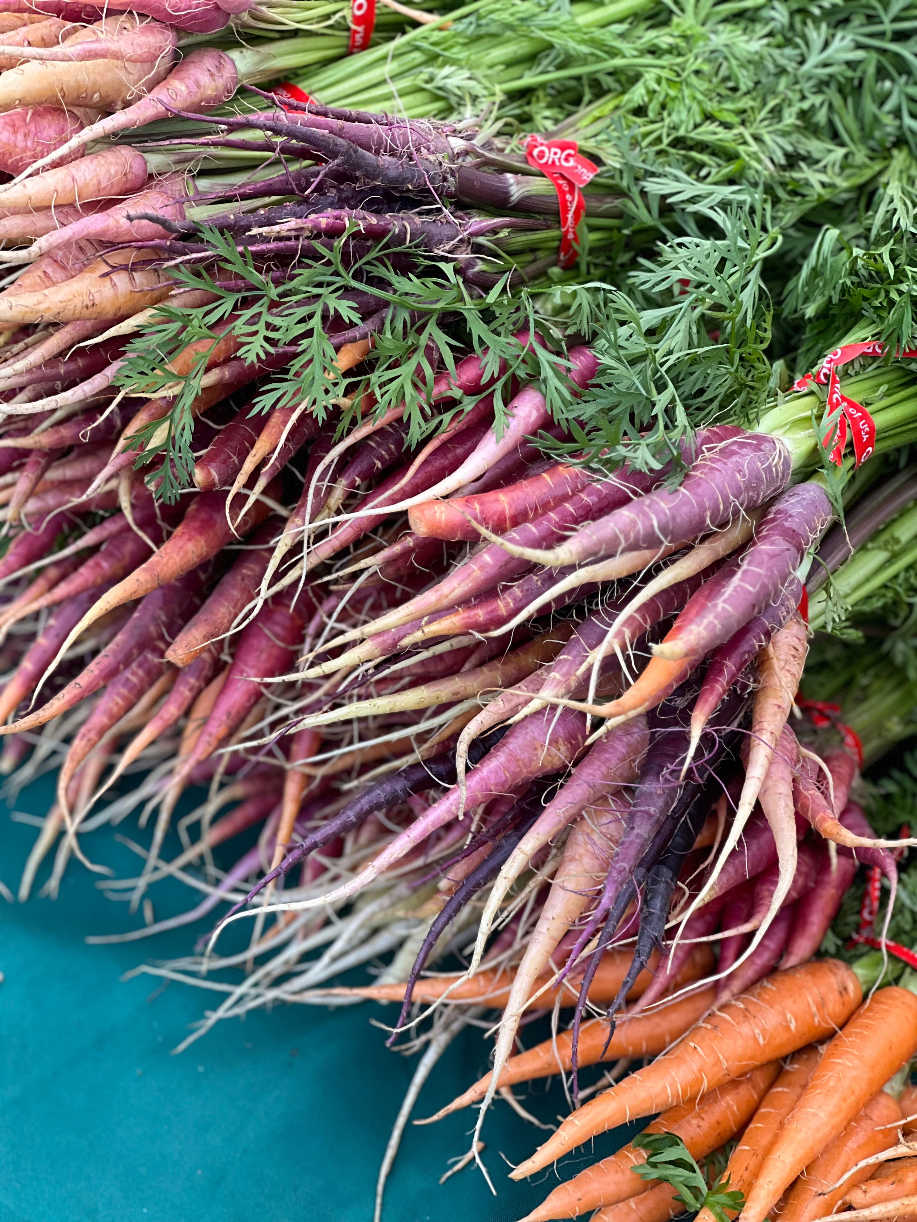 Pile of Different Kinds of Carrot · Free Stock Photo