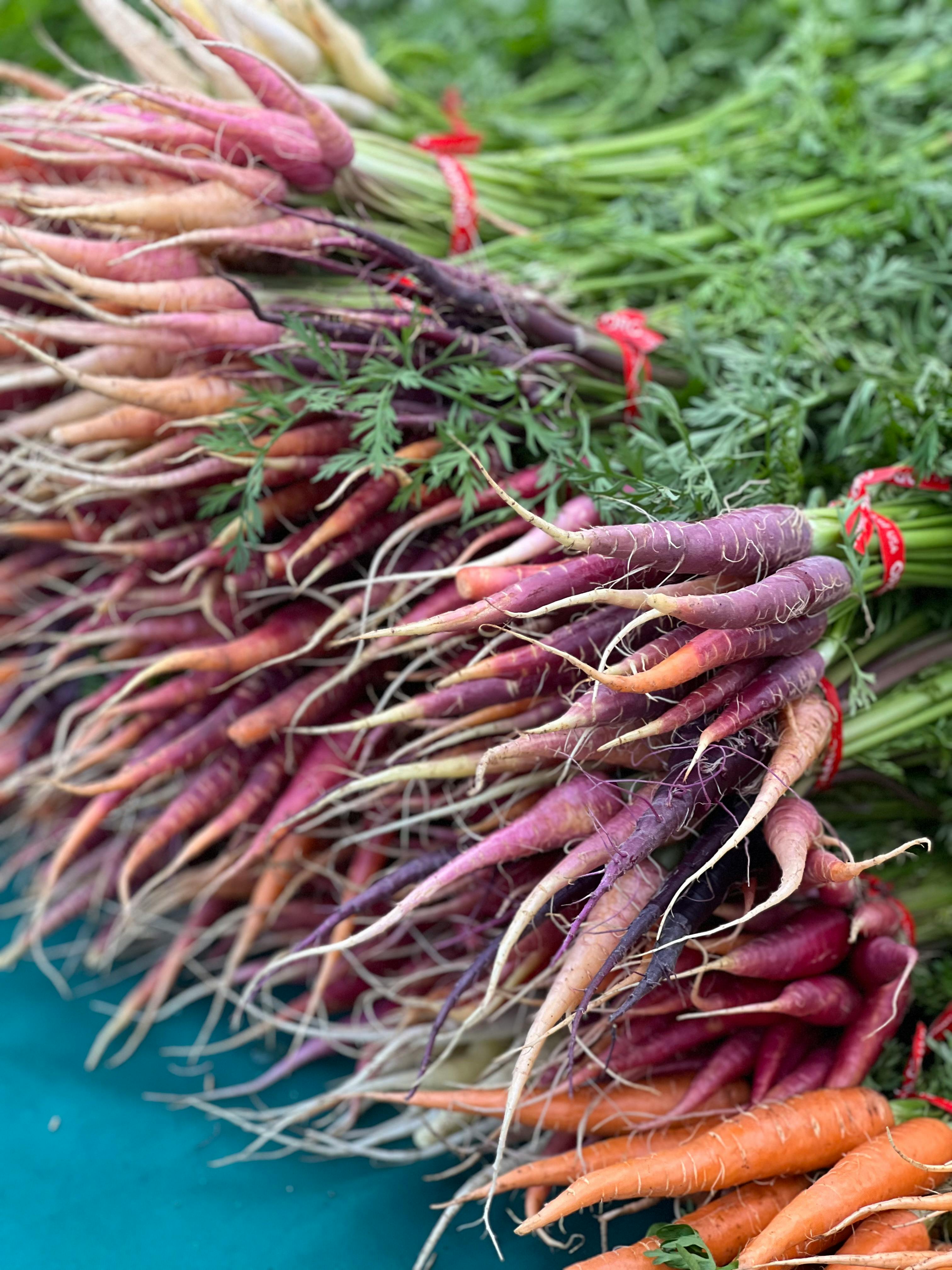Carrots Were Originally Purple: Before The 17th Century Photos ...