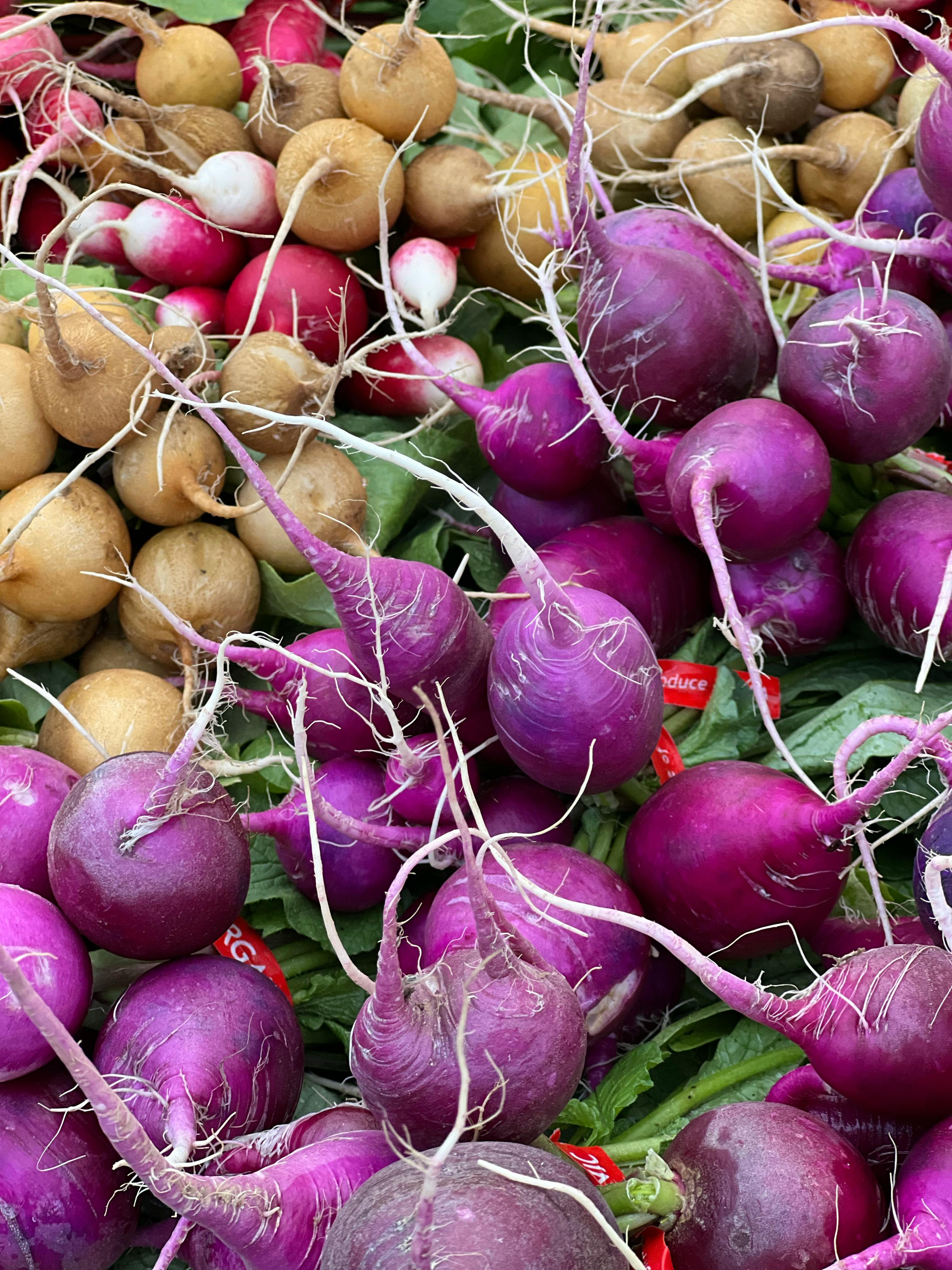 Grow A Garden Photos, Download The BEST Free Grow A Garden Stock Photos ...