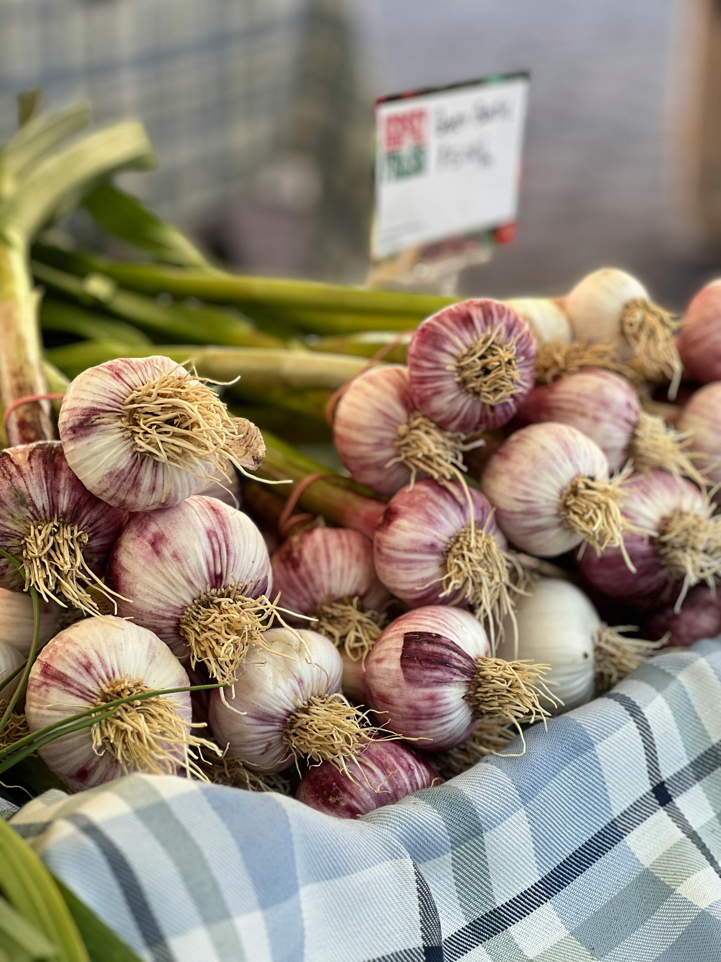 Display of Garlic in Market · Free Stock Photo