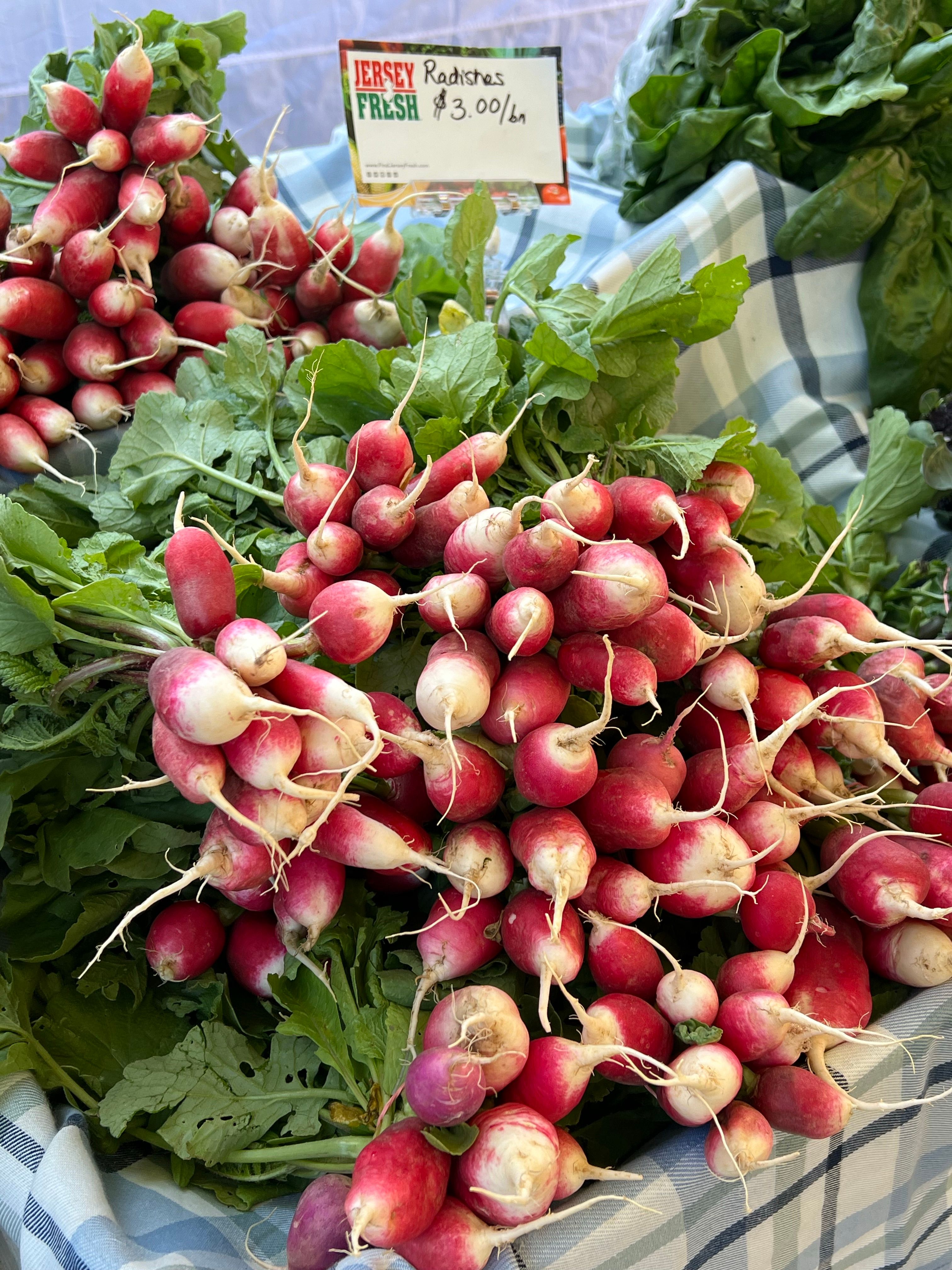 Bunches of Radishes at the Market Stand · Free Stock Photo