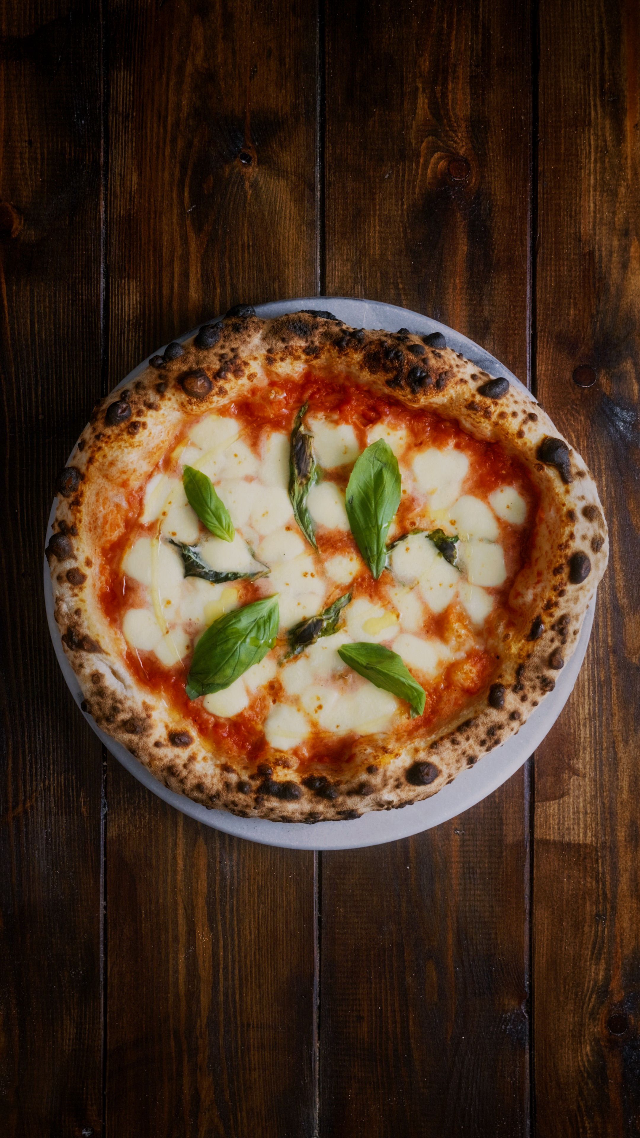 Foto gratuita di autentico, basilico, cerchio, cibo europeo, cibo ...