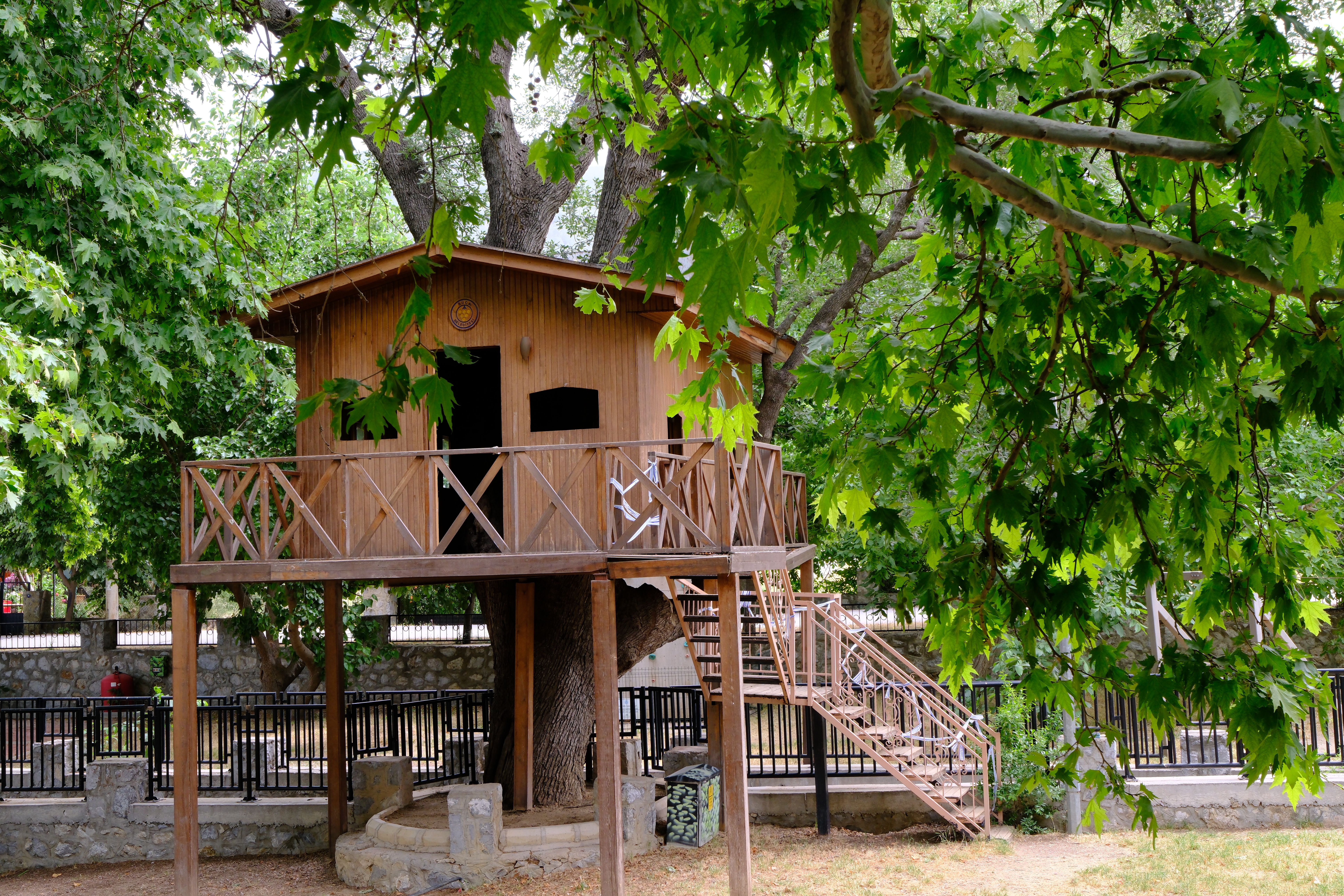 Wooden Treehouse in Summer · Free Stock Photo