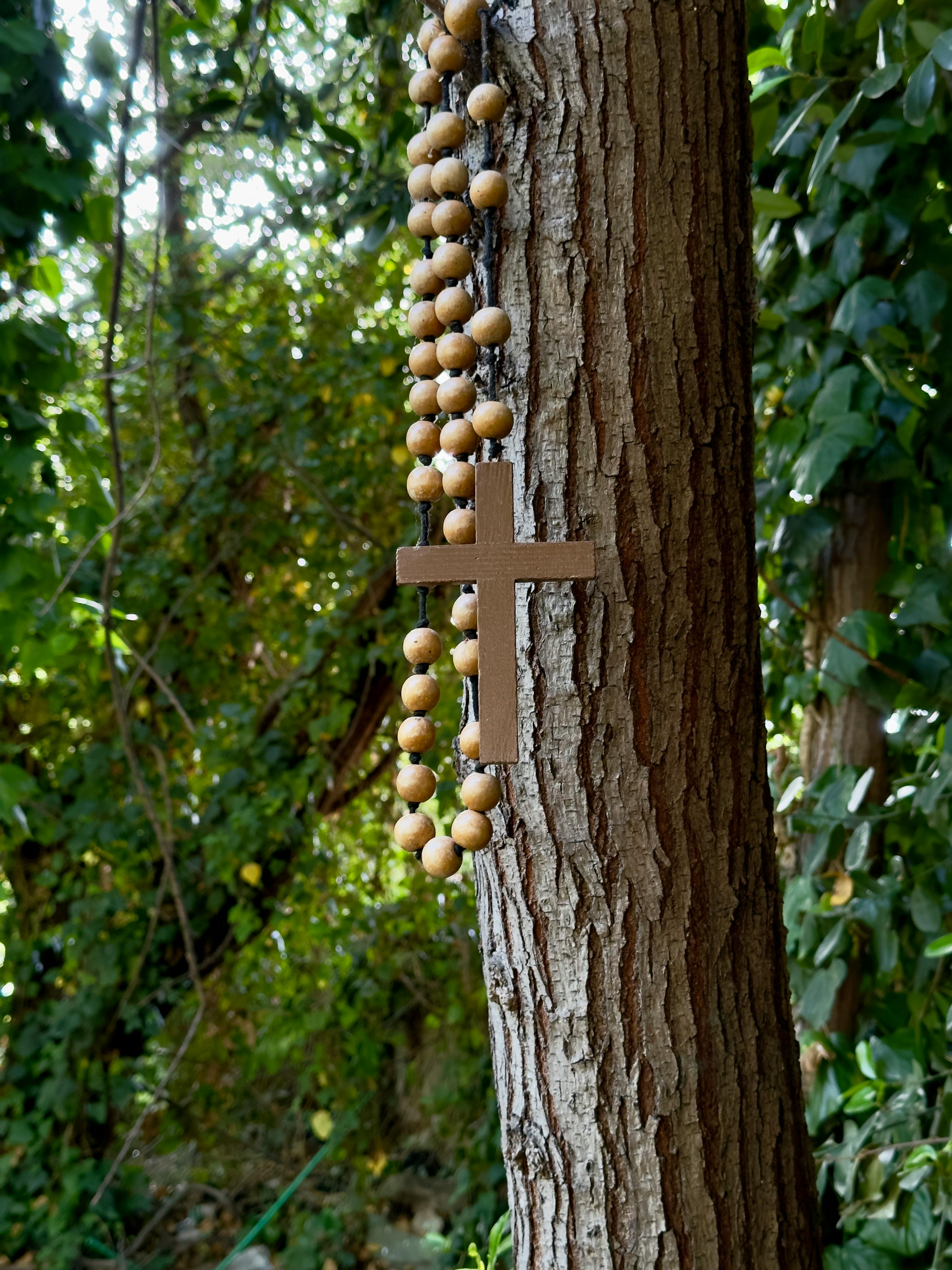 Wooden Rosary Hanging on a Tree · Free Stock Photo