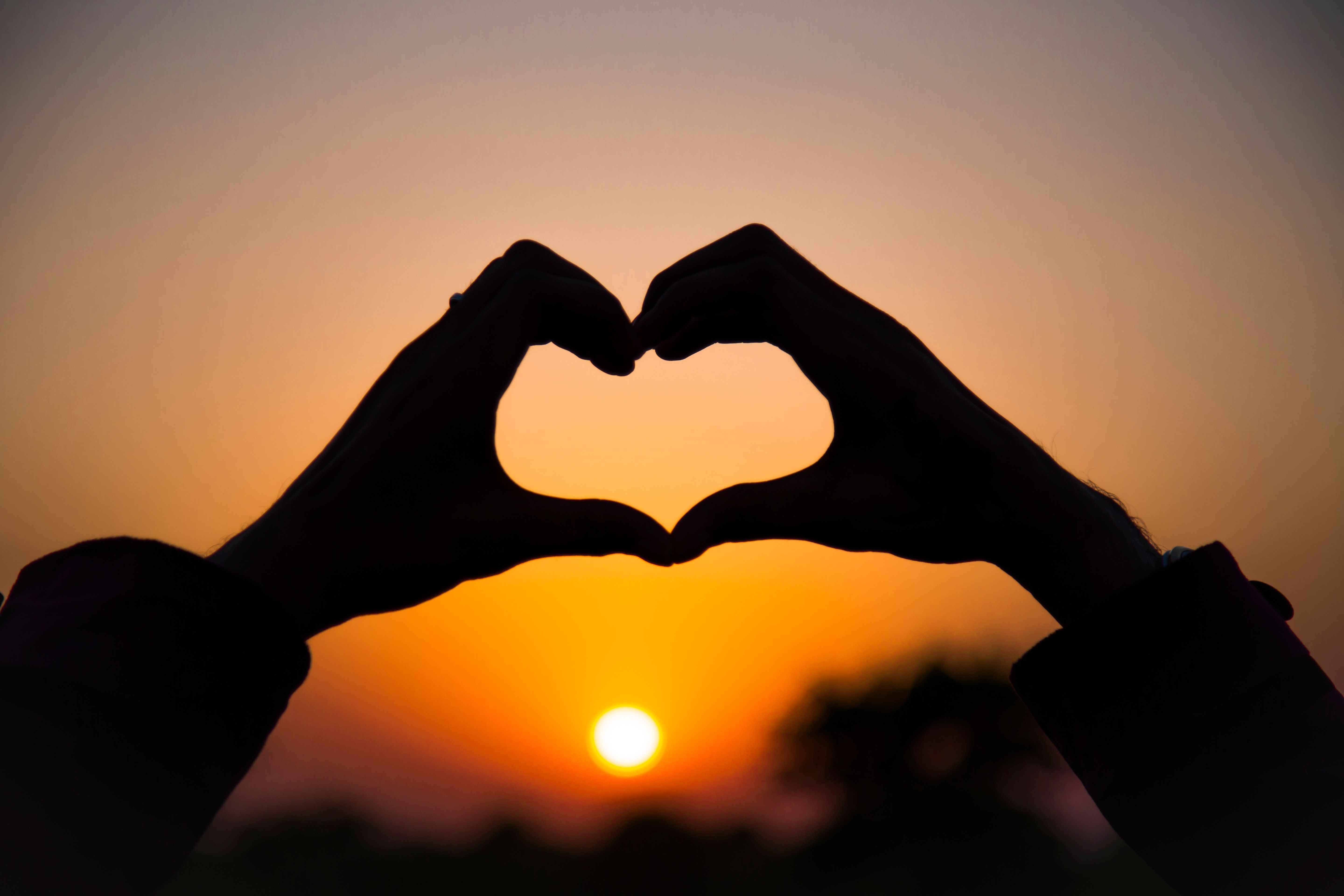 love is in the air · Free Stock Photo