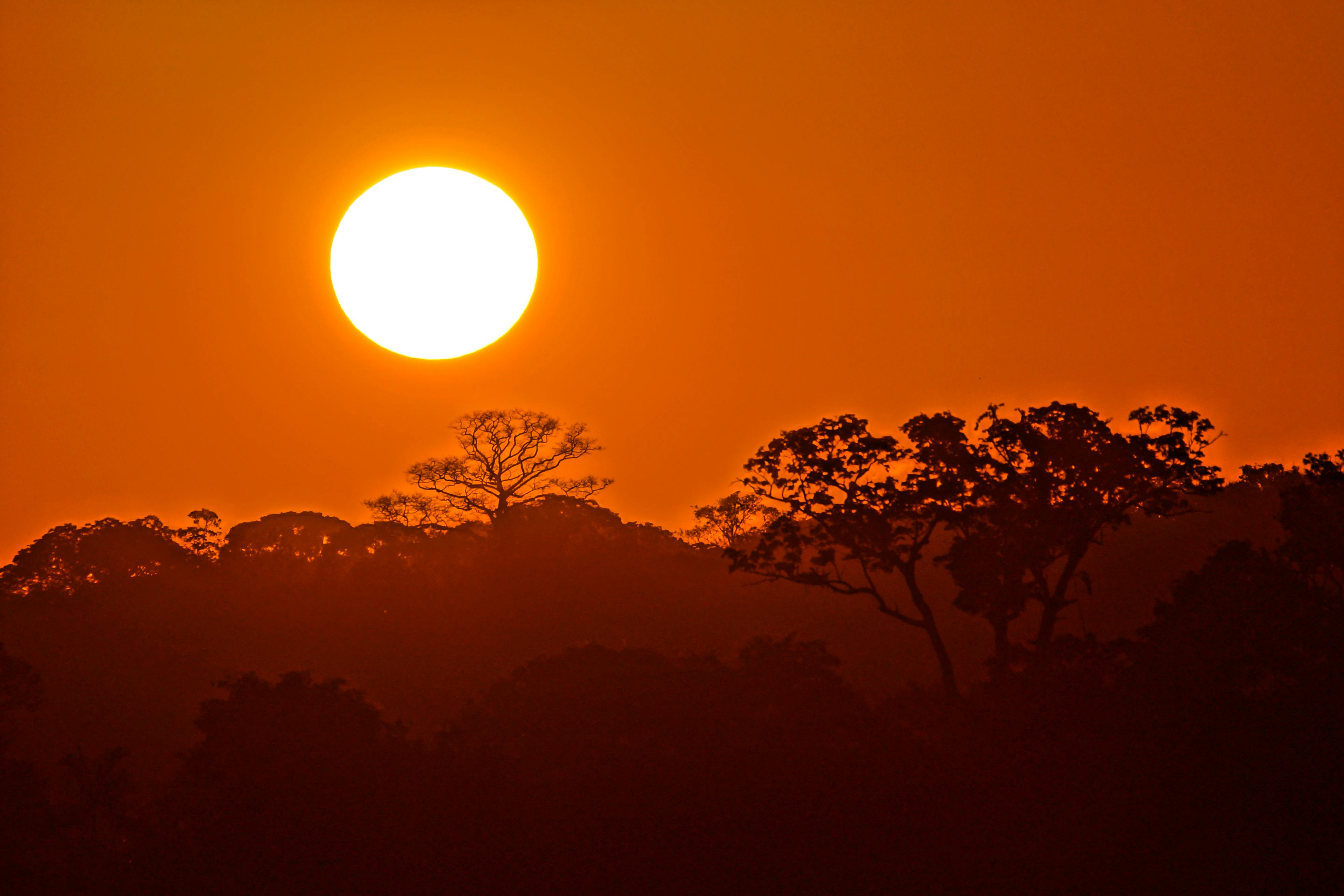 Christopher Borges - Photography