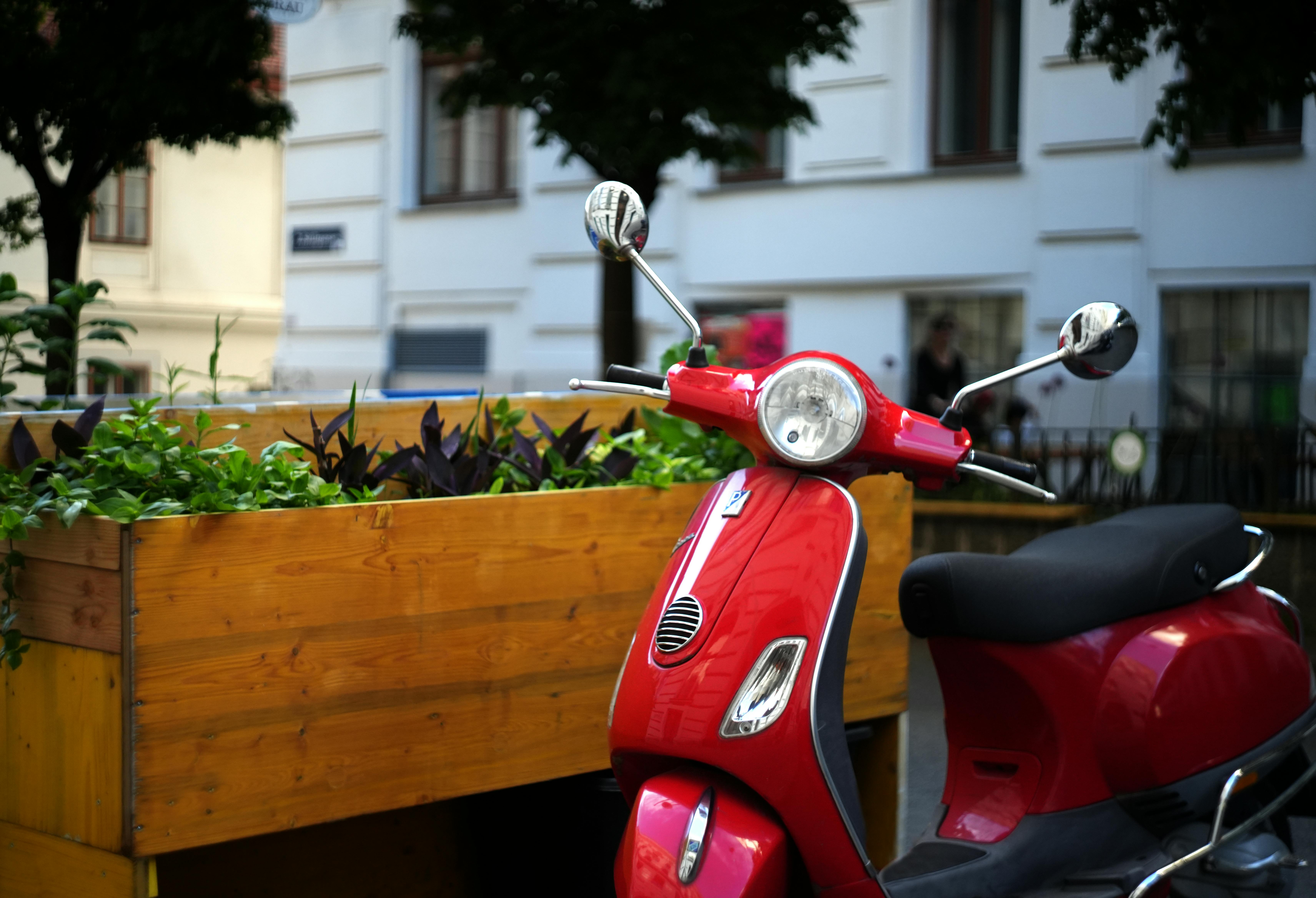 Red Scooter Parked Near Planter · Free Stock Photo