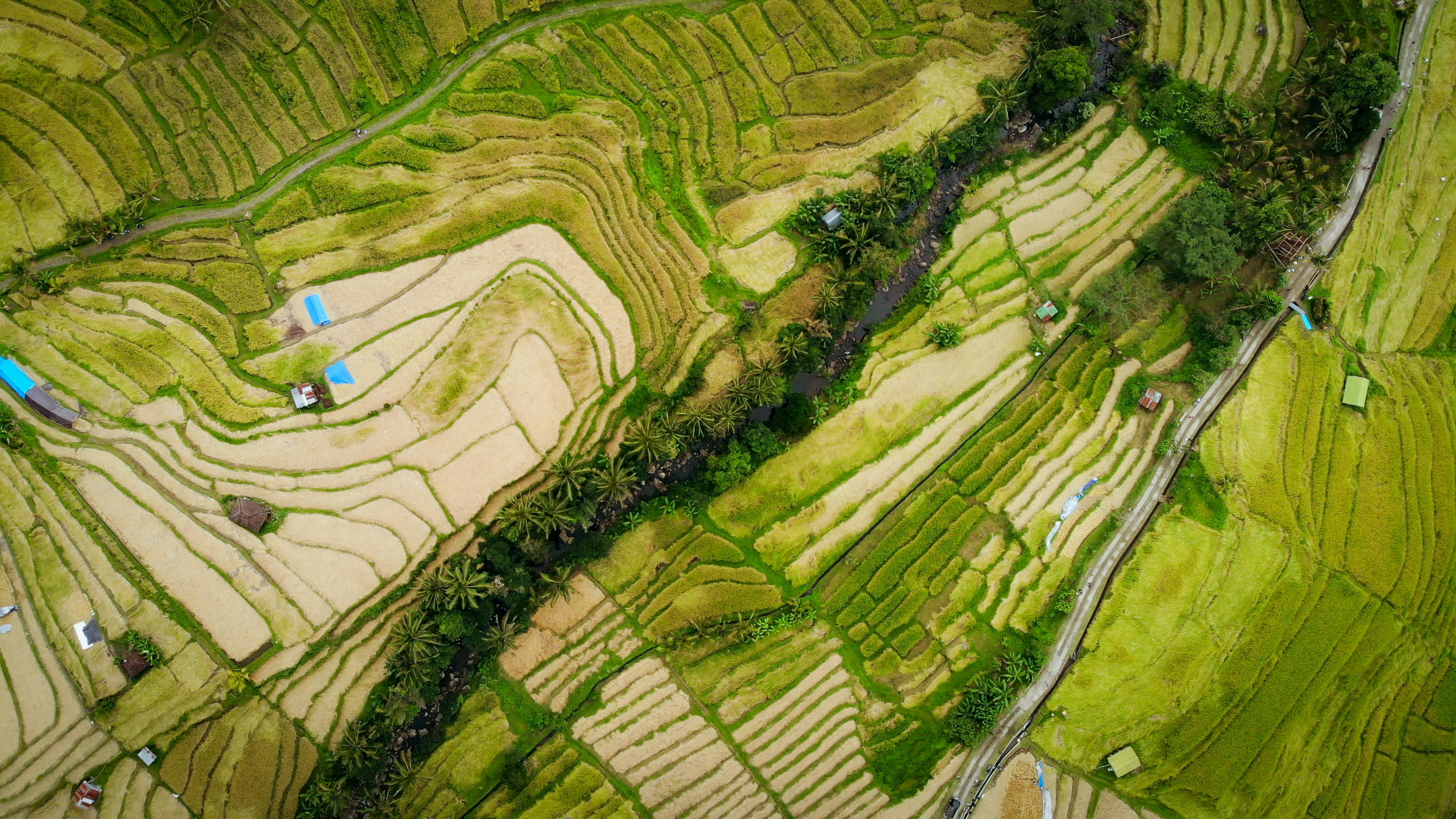 Bird's Eye View Of Farmland · Free Stock Photo